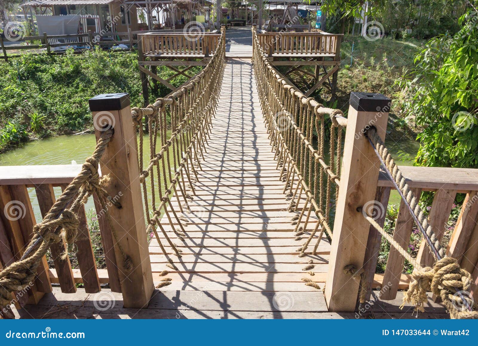 Rope bridge stock photo. Image of cable, hiking, resort - 147033644