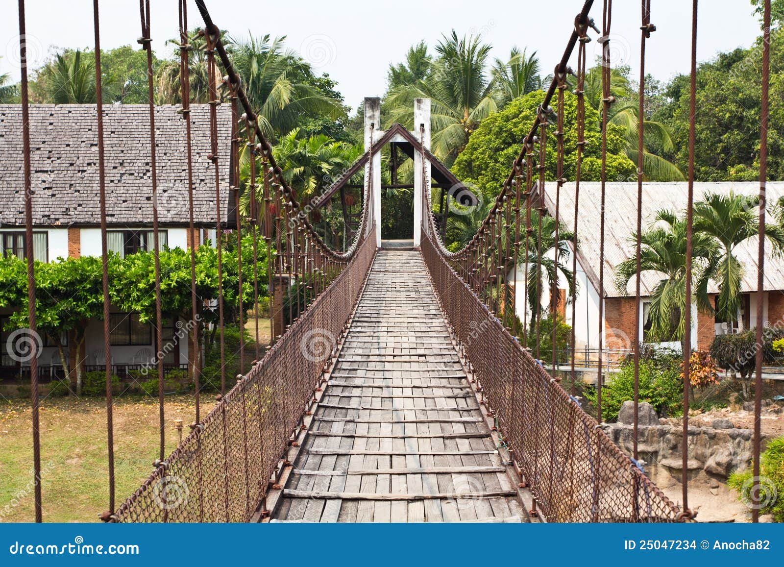 Rope bridge stock photo. Image of nature, danger, challenge - 25047234