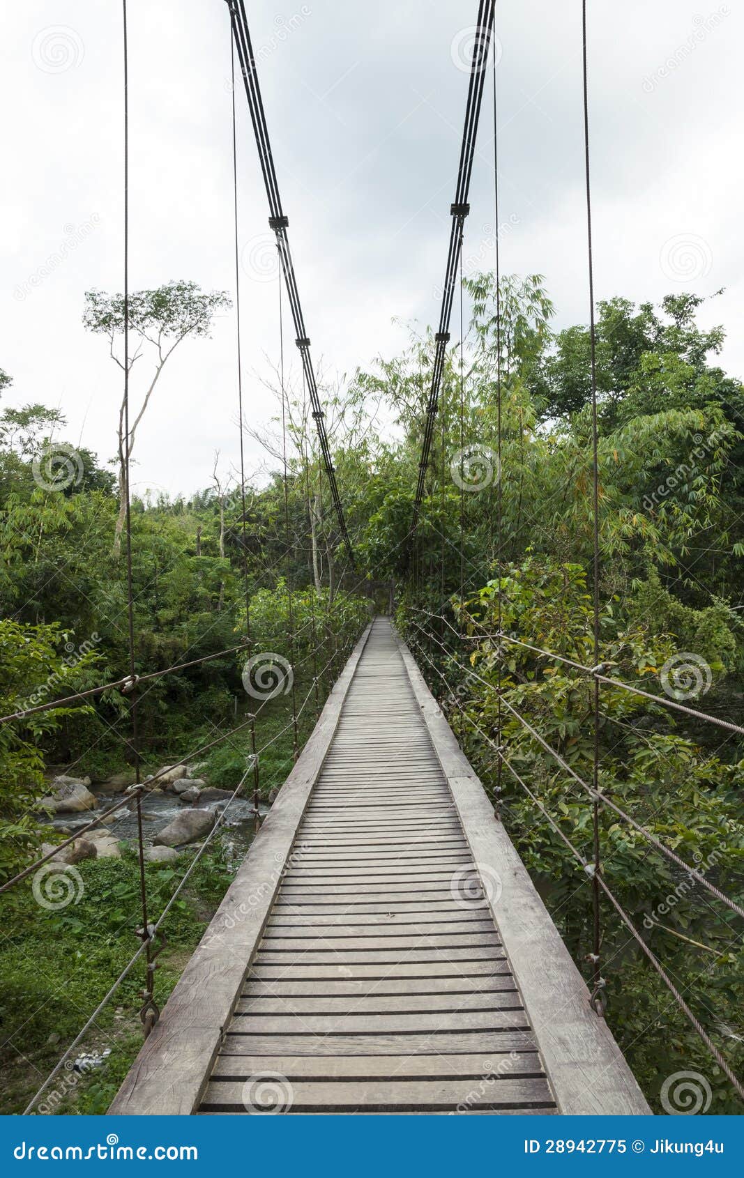 Rope bridge stock image. Image of hanging, trip, footbridge - 28942775