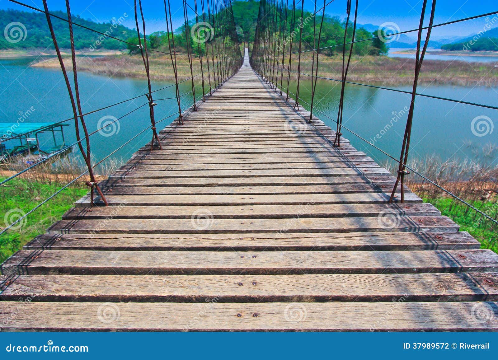 Rope bridge stock photo. Image of environment, outdoor - 37989572