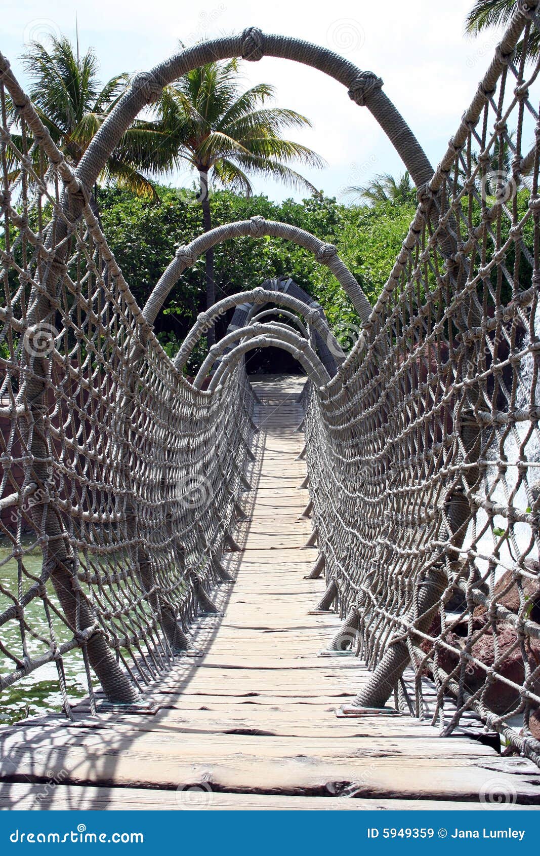 Rope Bridge stock image. Image of shape, suspended, board - 5949359