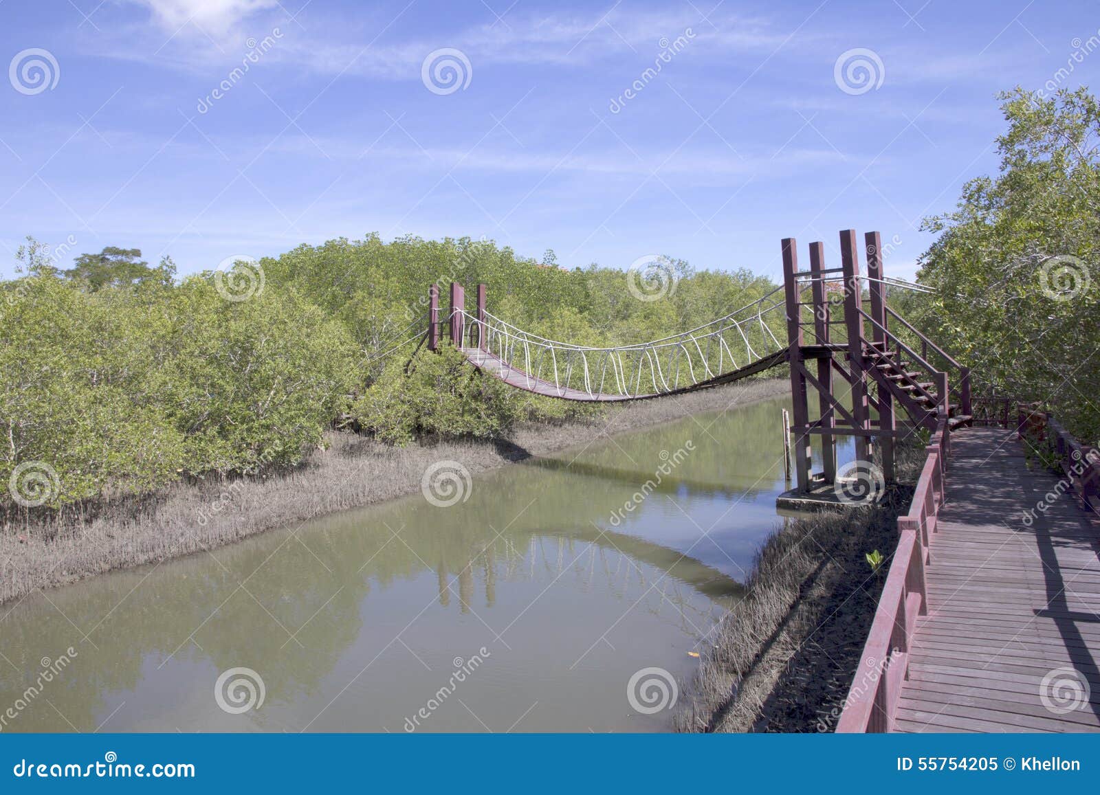 Rope bridge stock image. Image of bridge, nature, asia - 55754205