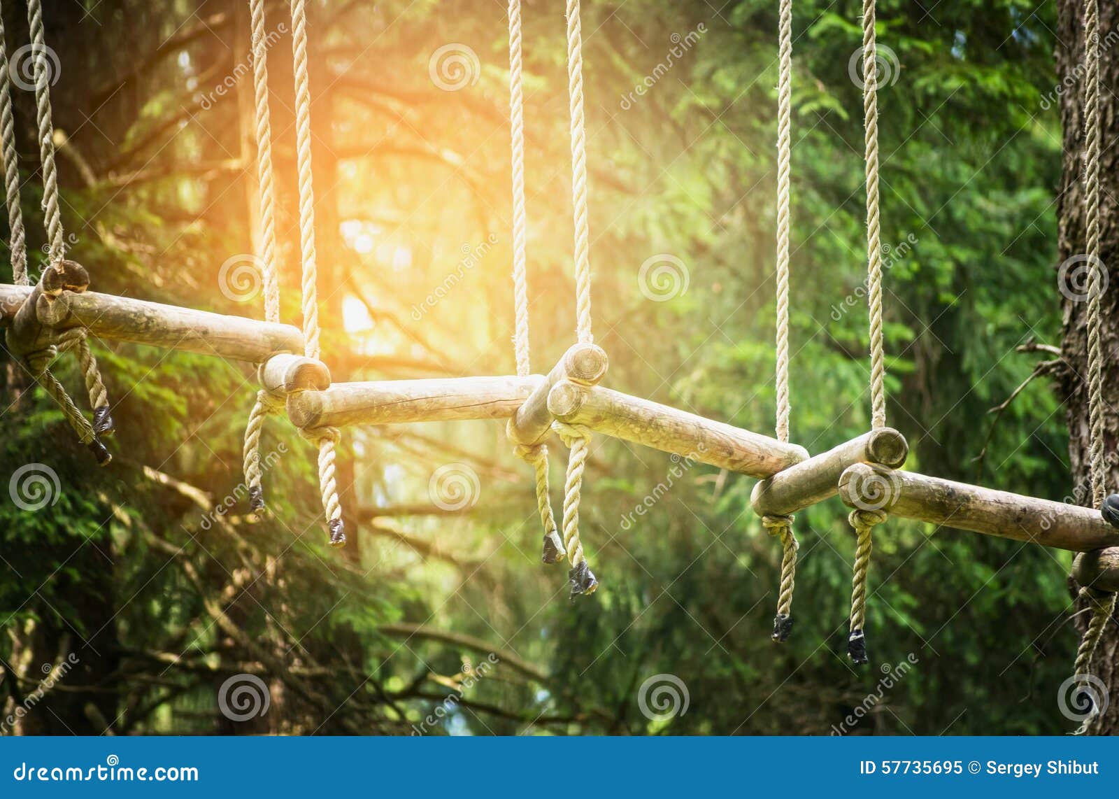 Rope Bridge in Climbing Forest or High Wire Park, Outdoor Stock Image ...
