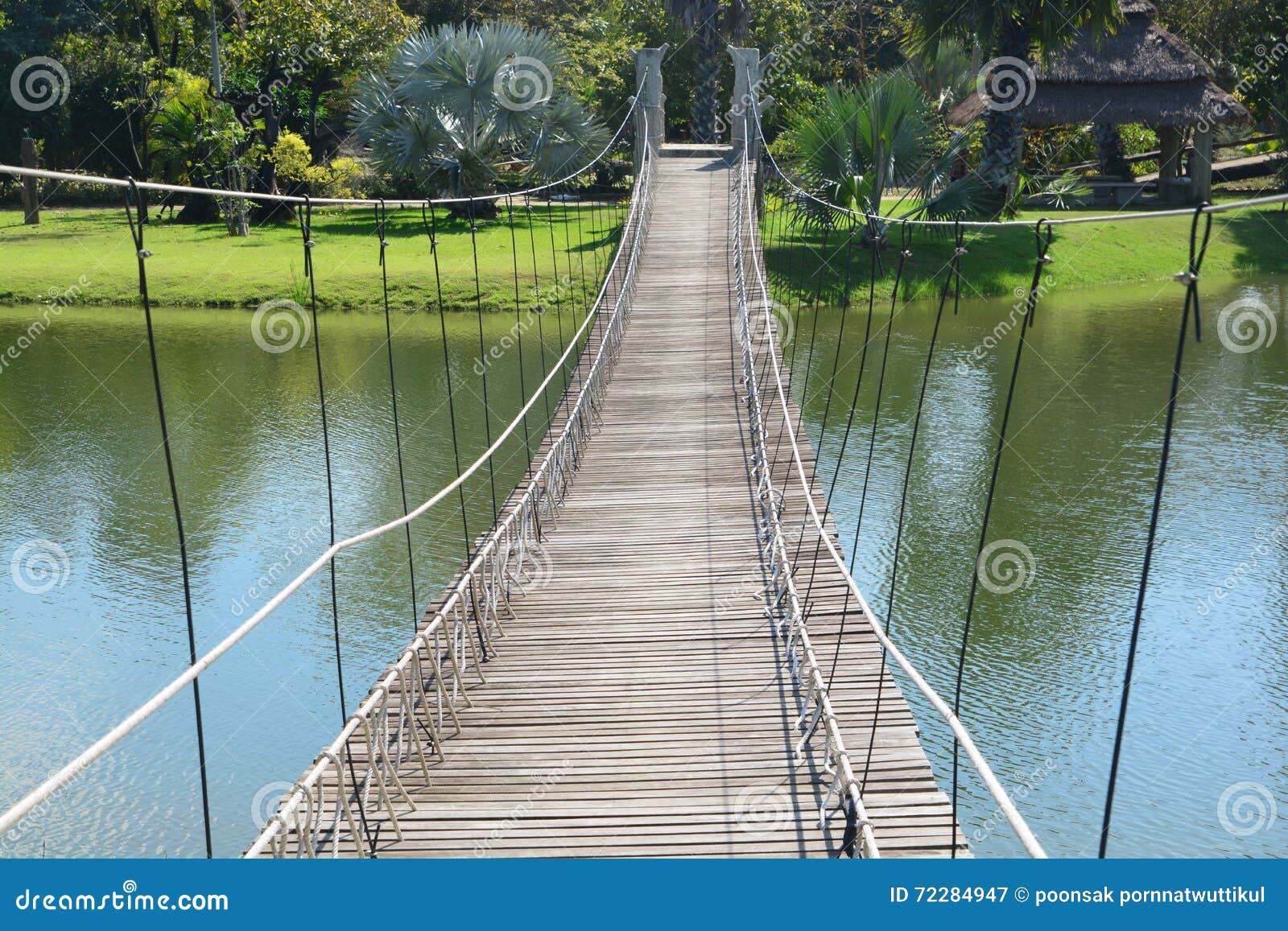 Rope bridge stock image. Image of bridge, natural, building - 72284947