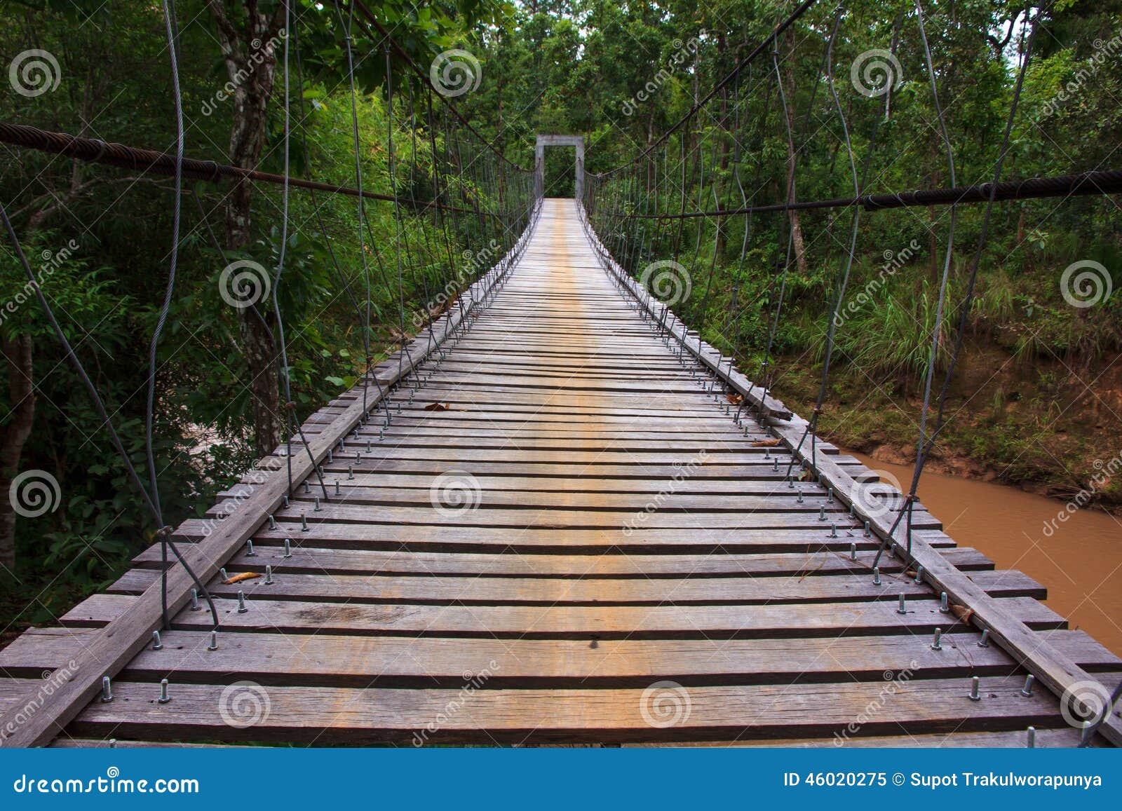 Rope bridge stock image. Image of nature, high, adventure - 46020275