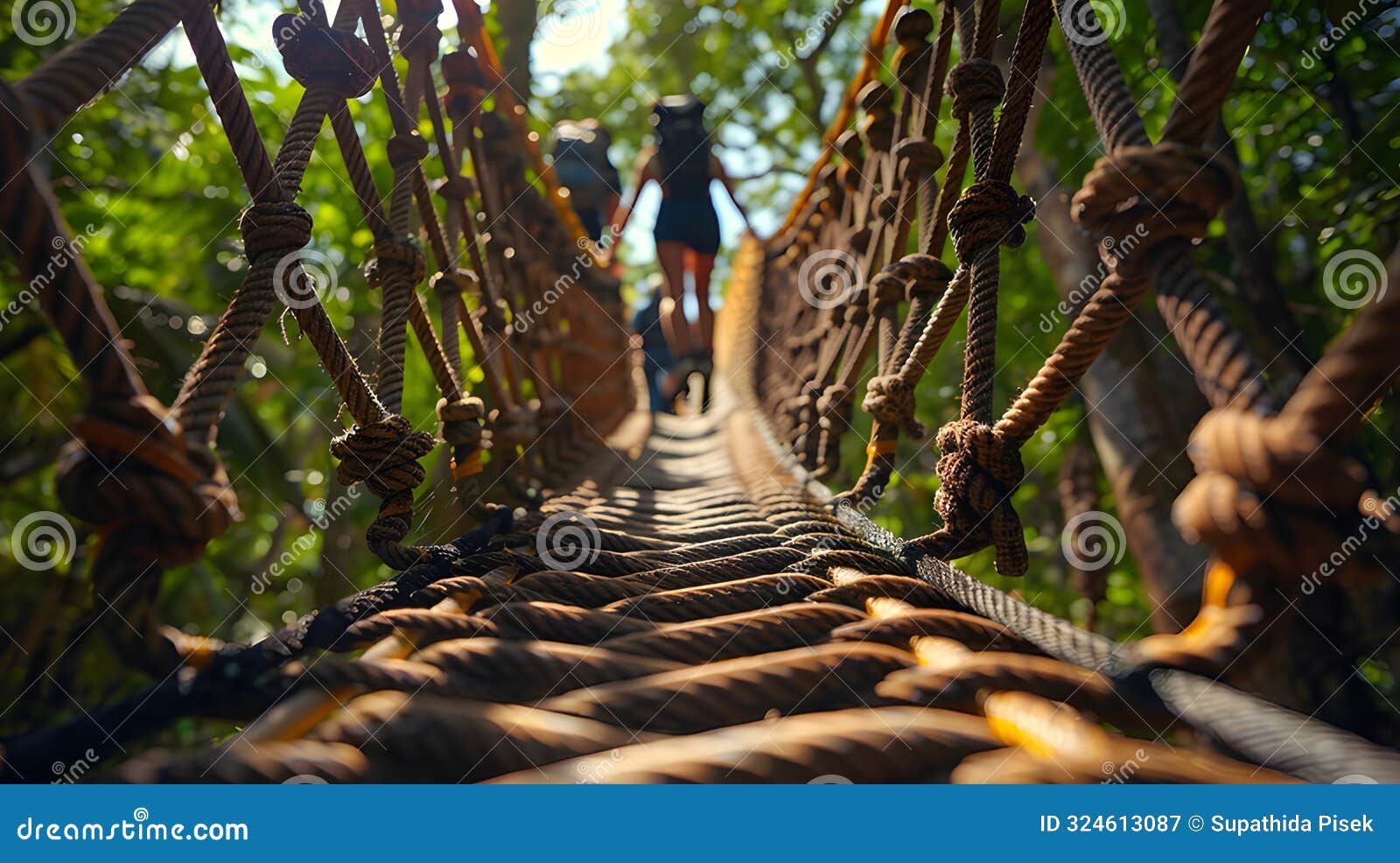 Rope Bridge in a Forest, Viewed from a Low Angle that Captures the ...