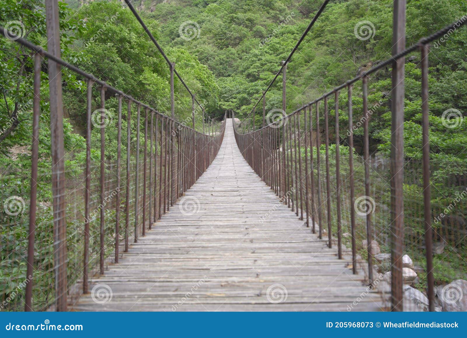 Rope Bridge in the Green Forest in Mountain Stock Image - Image of ...