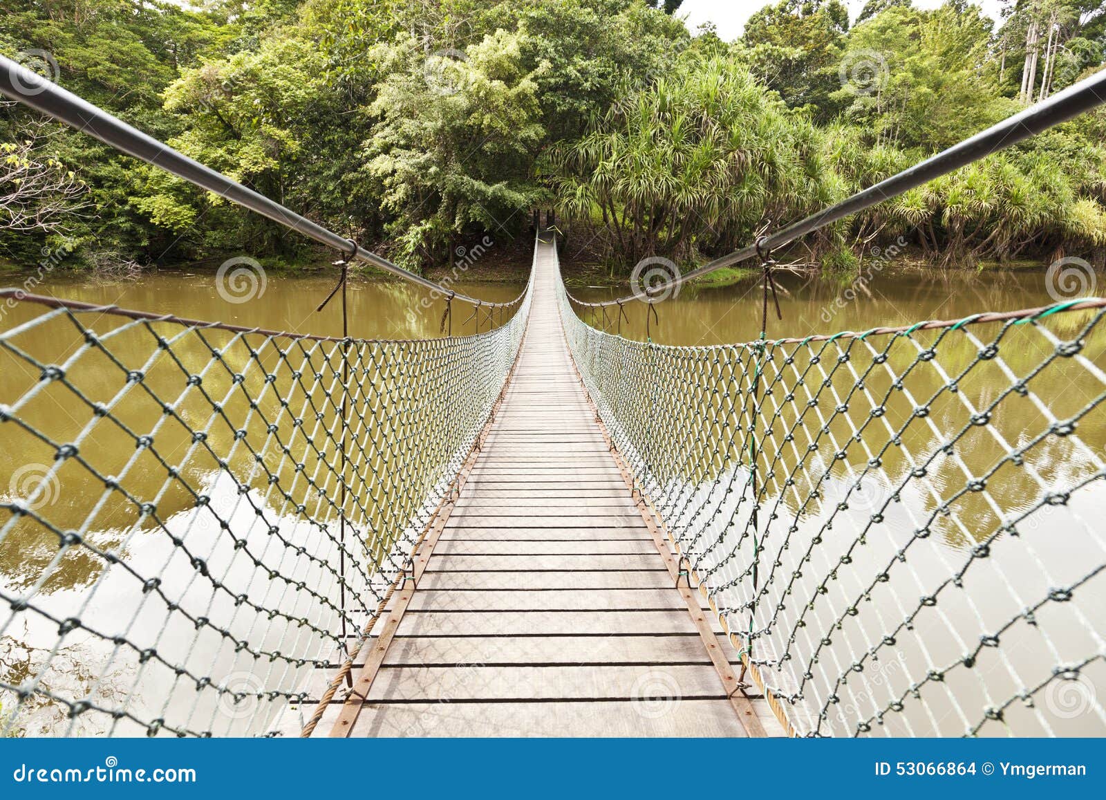 Rope bridge in a jungle stock photo. Image of long, scenics - 53066864
