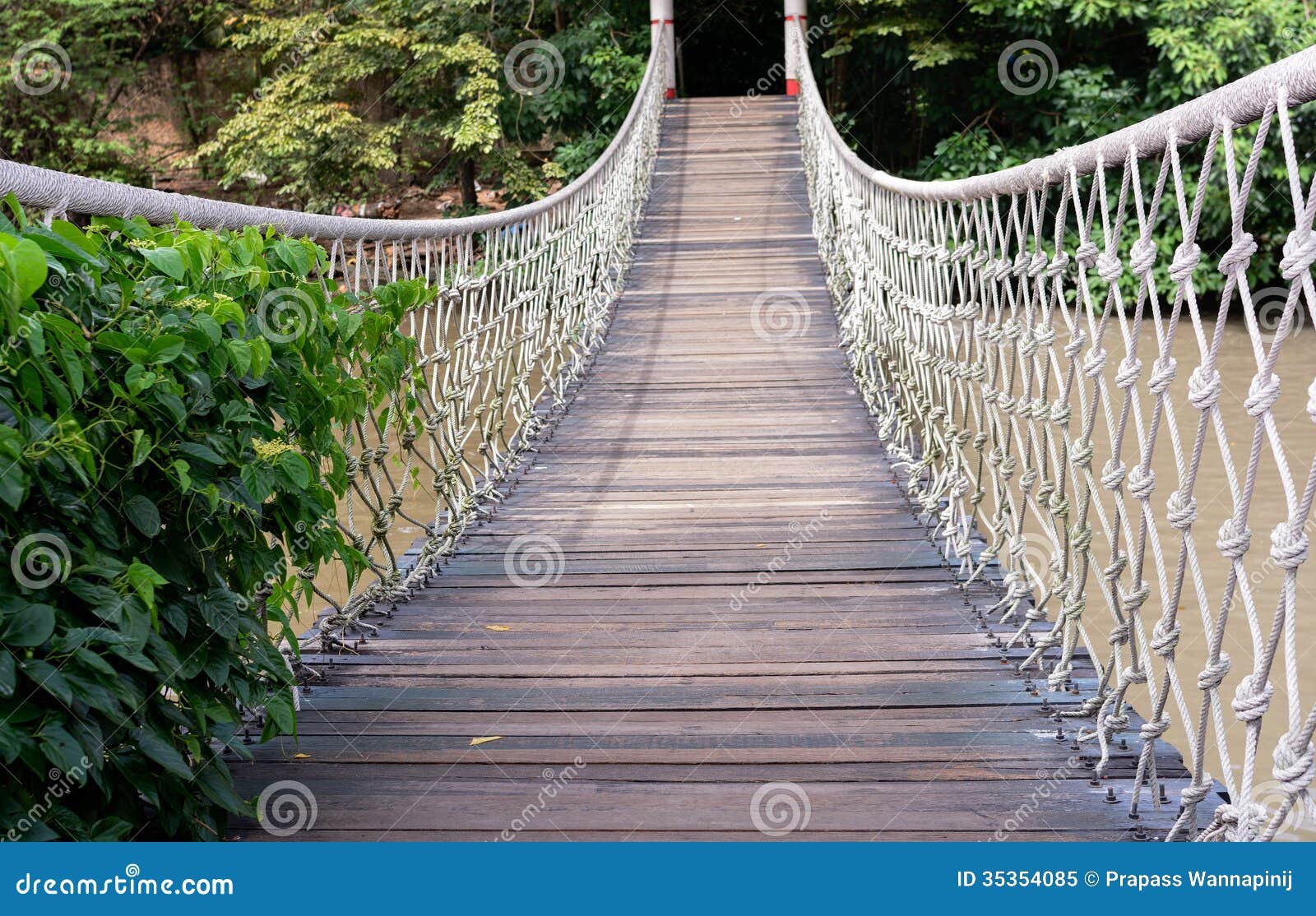 Rope bridge stock image. Image of cross, adventure, water - 35354085