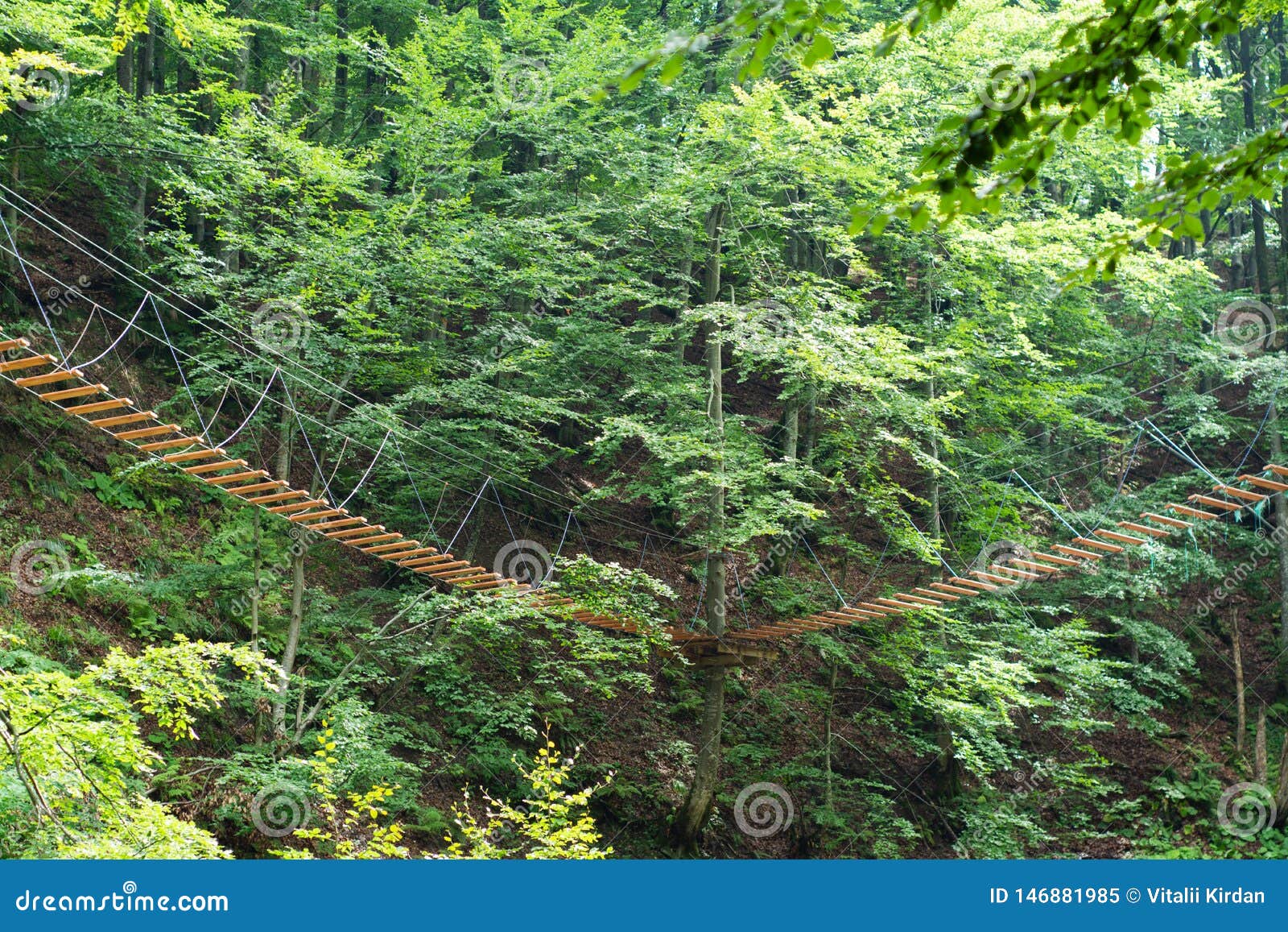 Rope Bridge Tied High in the Trees in the Forest. Stock Image - Image ...
