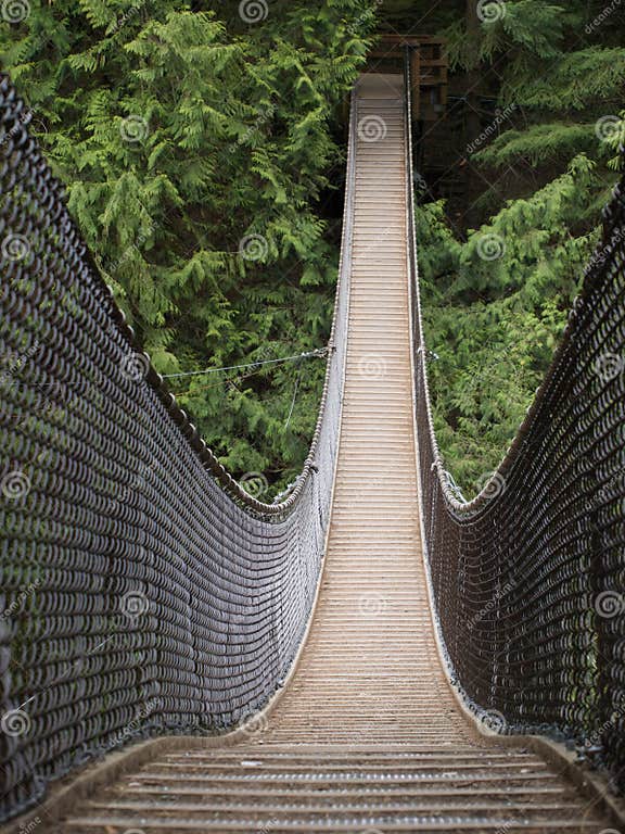 Rope bridge in the trees stock photo. Image of brown, bridge - 9481530