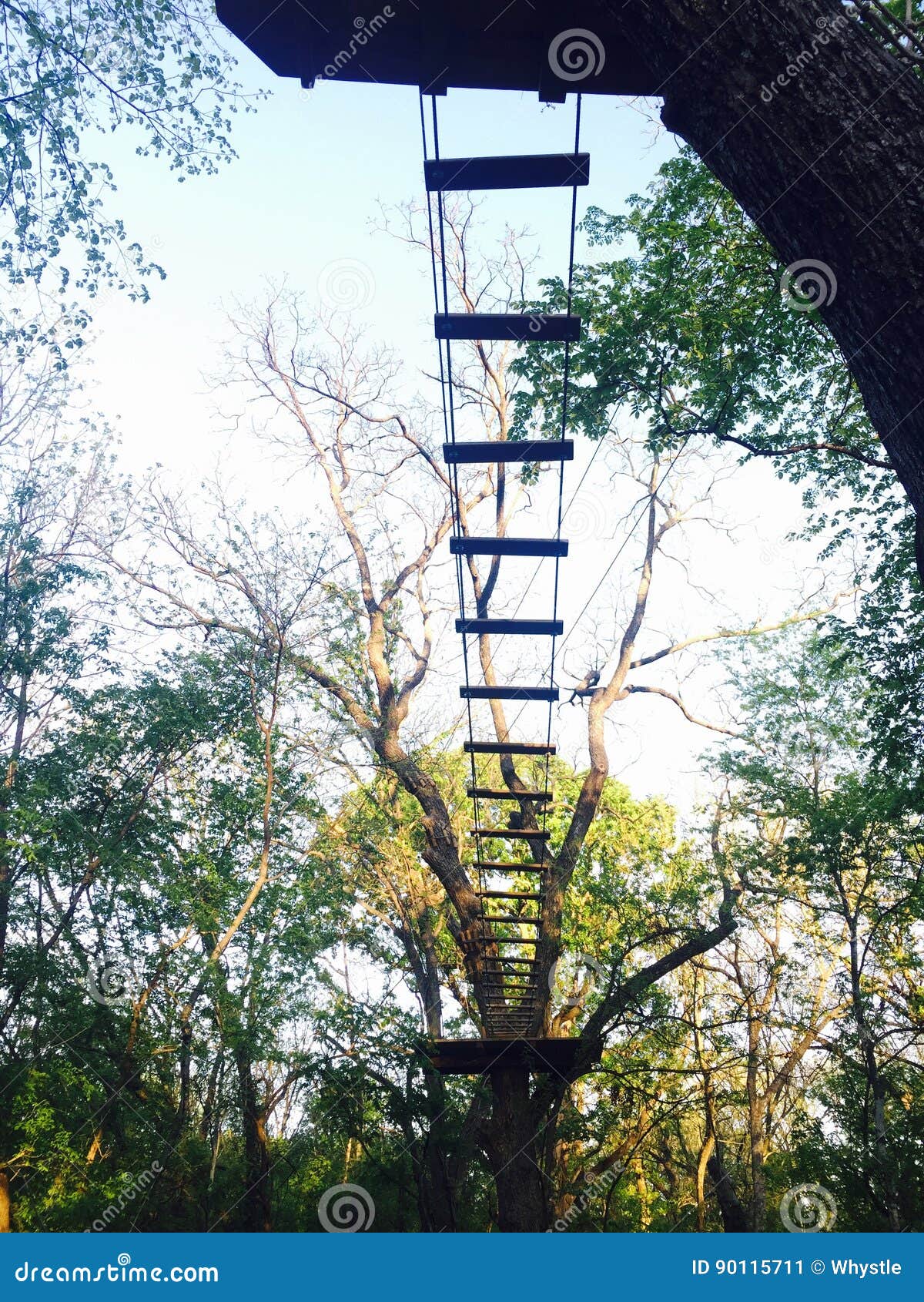Rope Bridge in Trees stock image. Image of outdoor, difficulty - 90115711