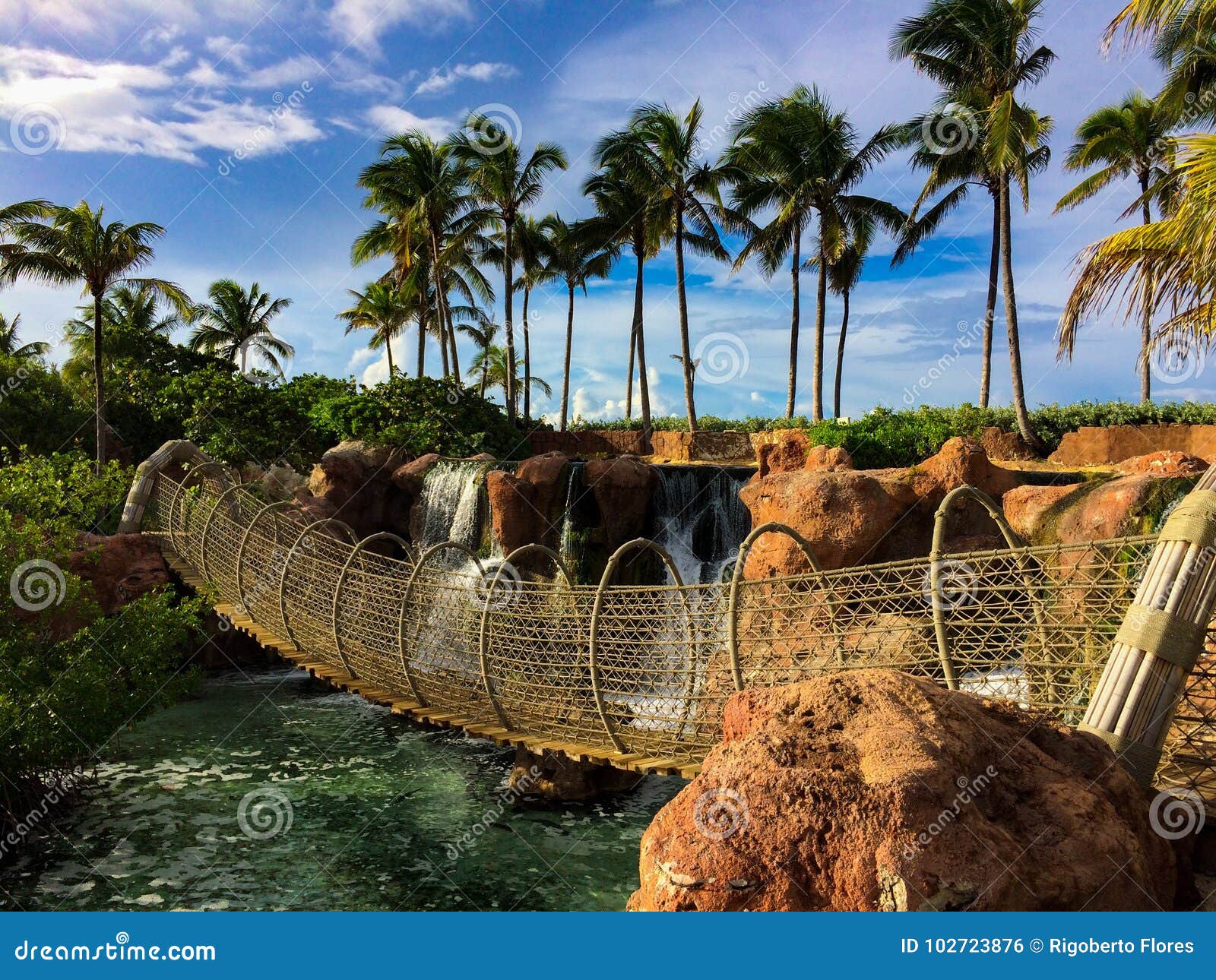 Rope Bridge with Waterfalls Stock Photo - Image of palm, lagoons: 102723876
