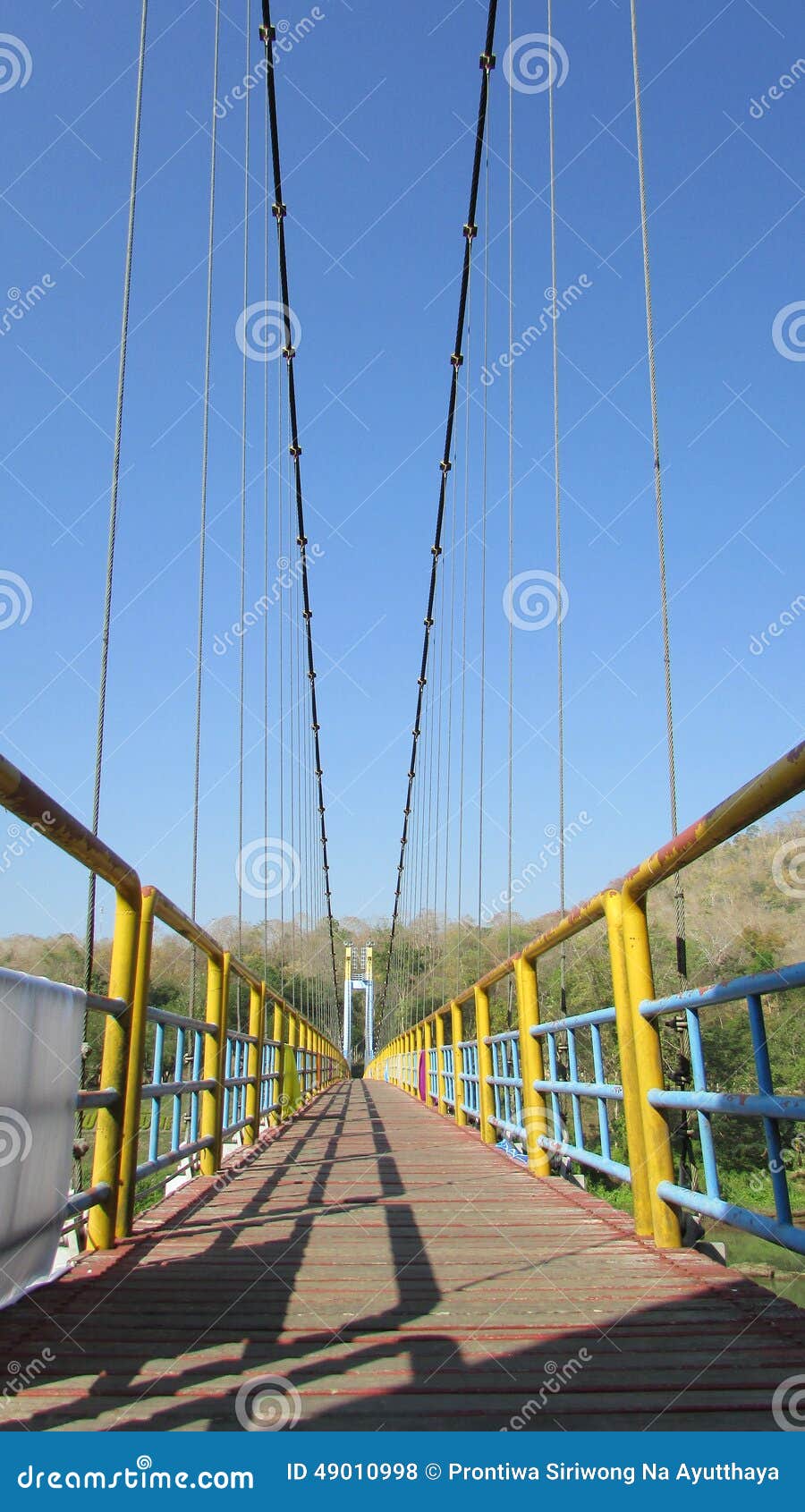 Rope bridges stock photo. Image of straight, rope, tied - 49010998
