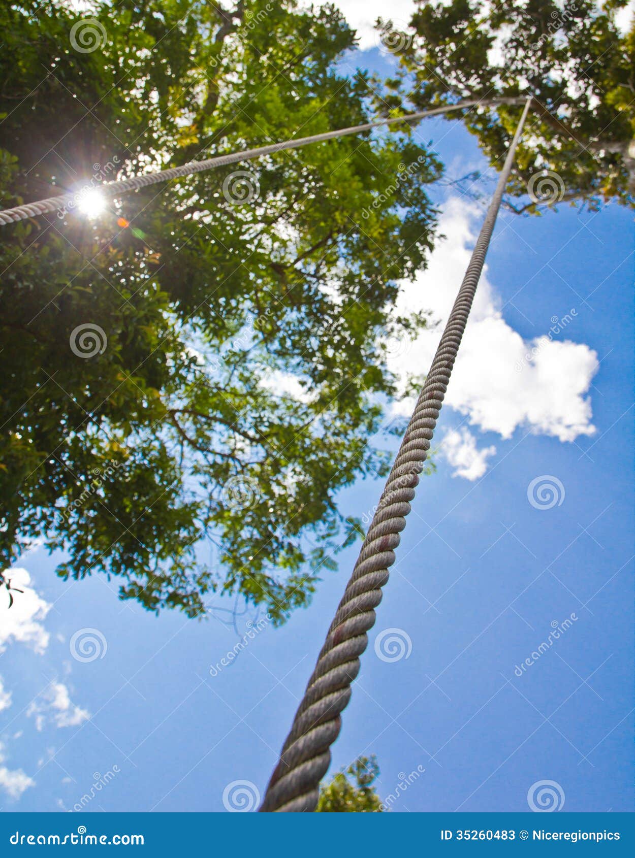 Rope for climbing trees. stock image. Image of wire, hanging - 35260483