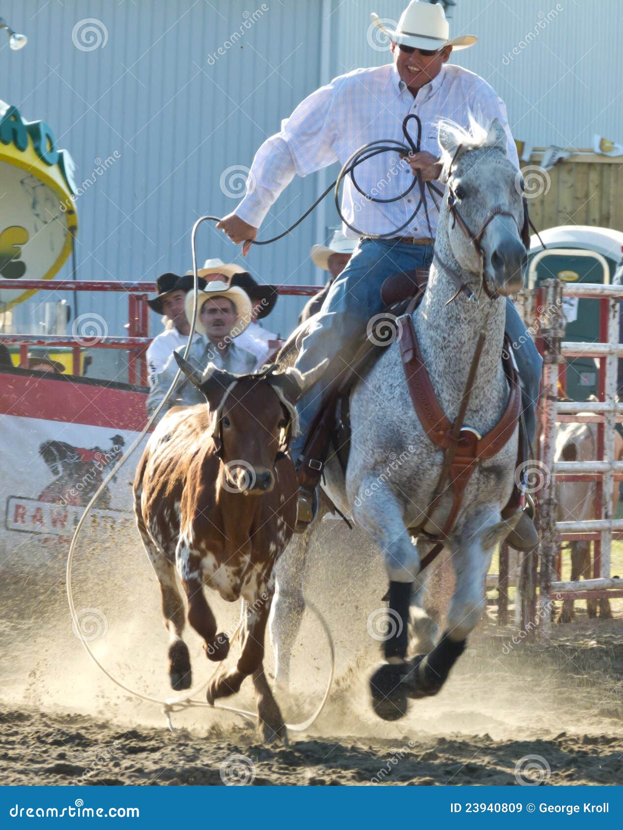 Rope that cow editorial stock image. Image of colt, herder - 23940809