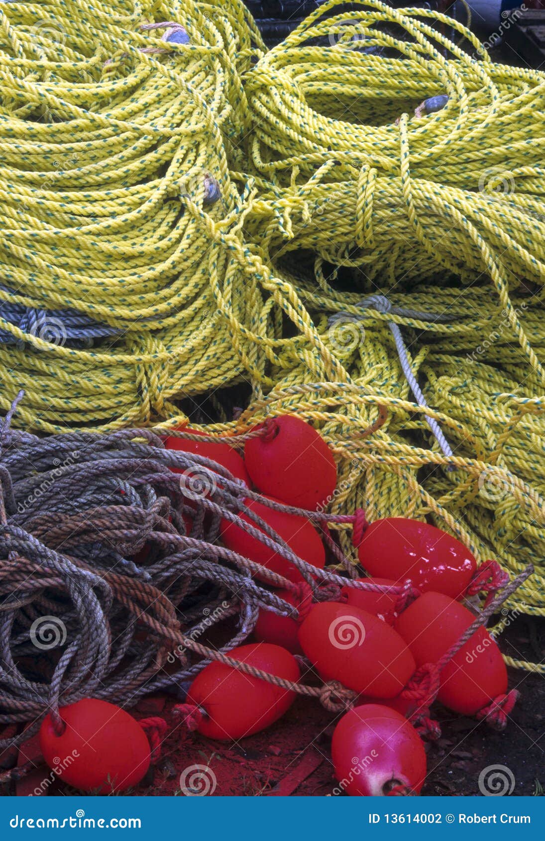 Rope and crab trap buoys stock photo. Image of dock, crabbing - 13614002