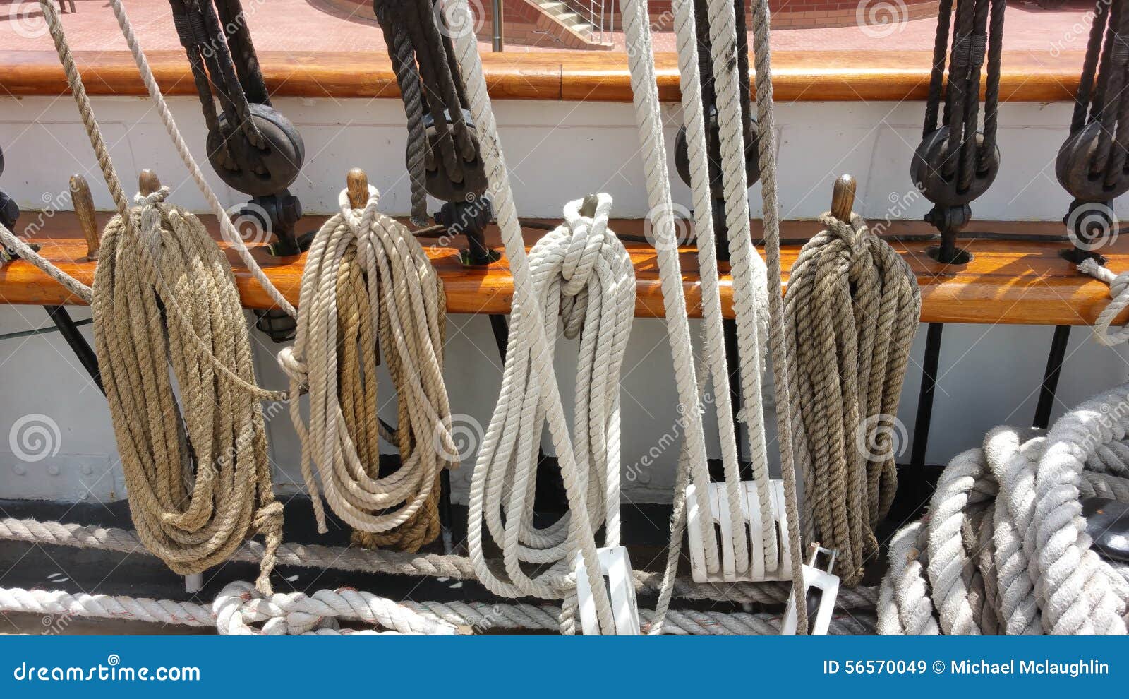 Rope Family editorial stock image. Image of pirate, rope - 56570049