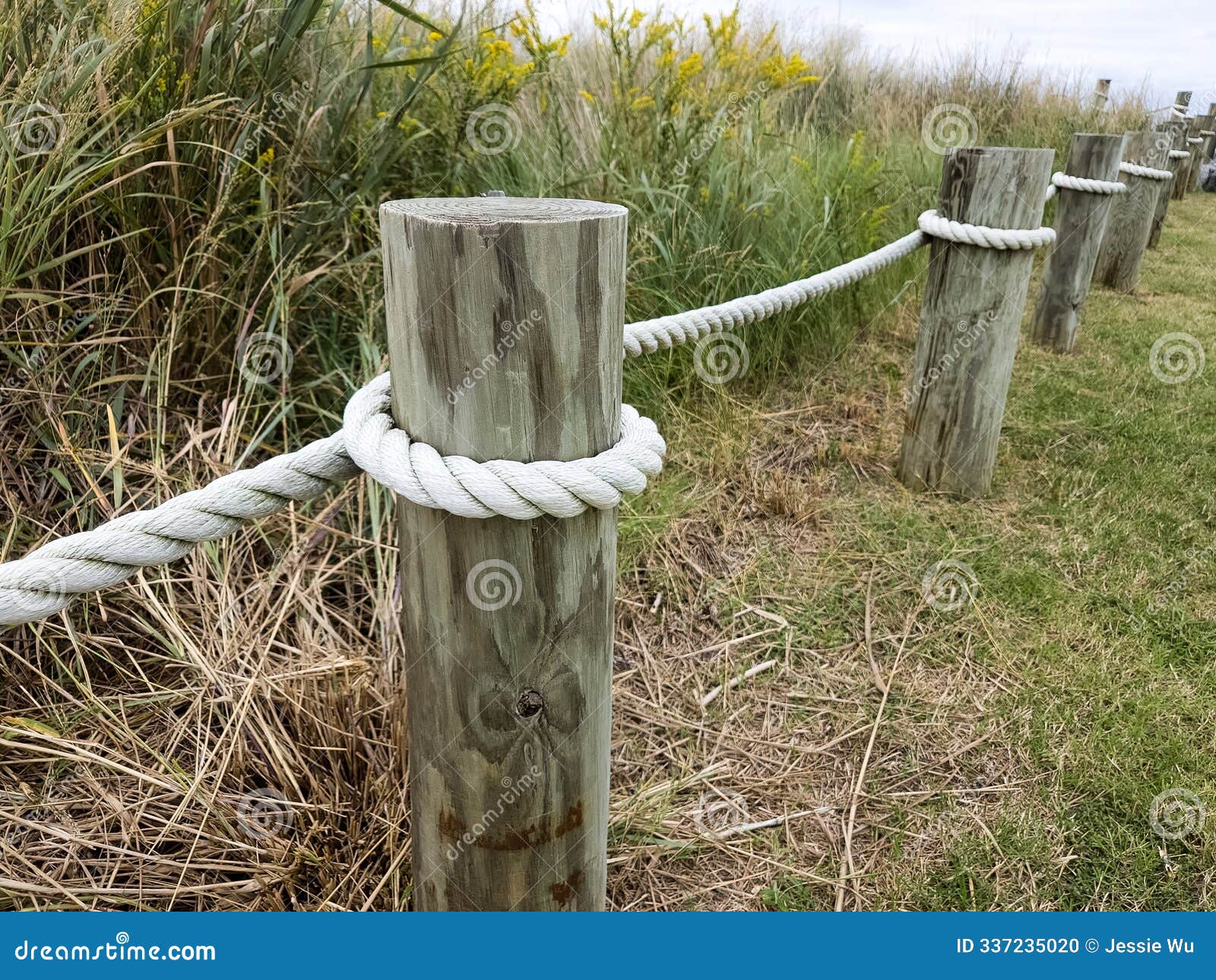 Rope fence at beach front stock photo. Image of wood - 337235020
