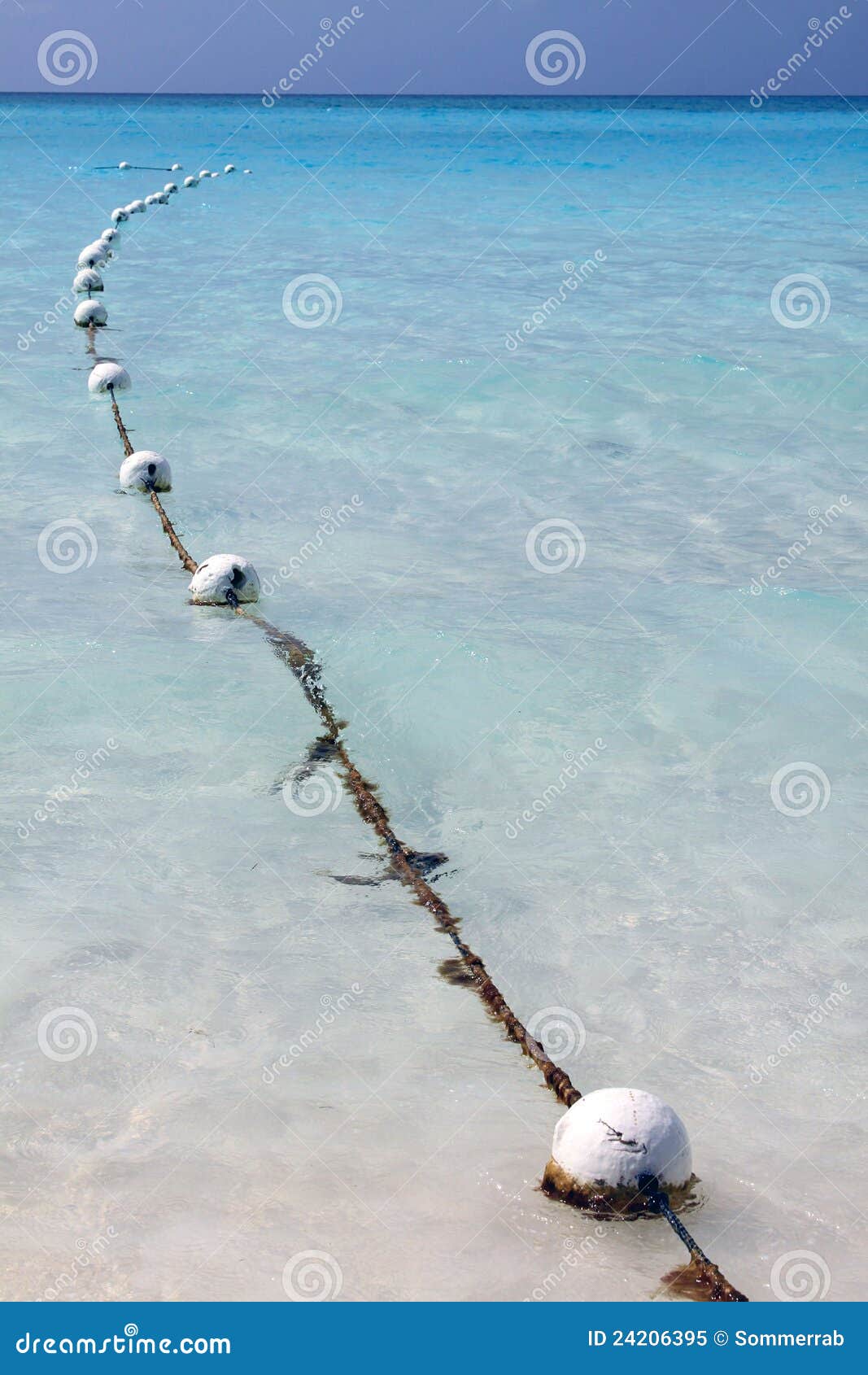 Rope floating in water stock image. Image of summery - 24206395