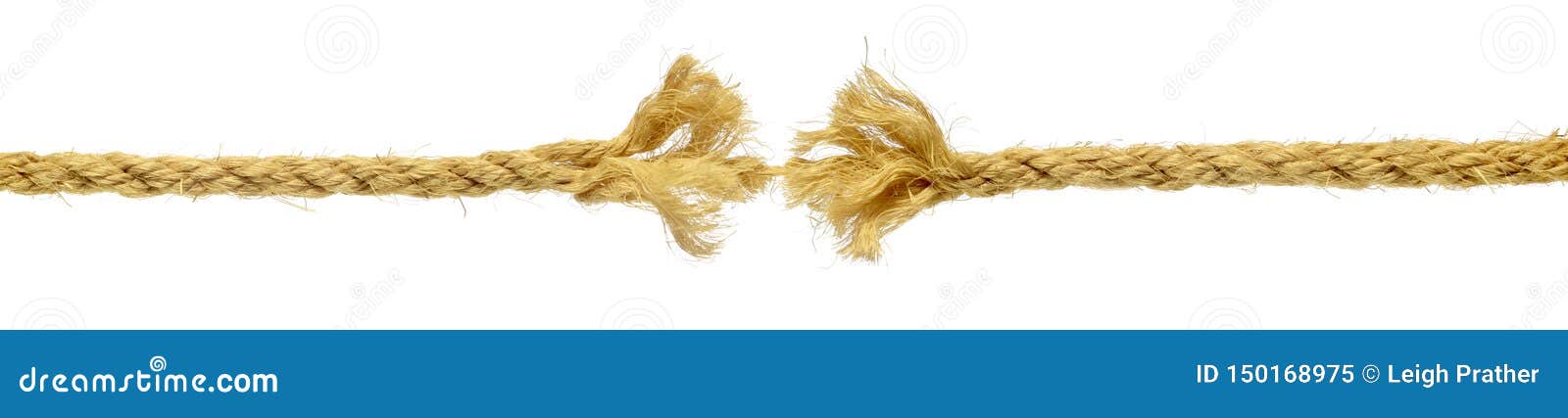 Rope Fraying Isolated on White Stock Image - Image of string, stretch ...