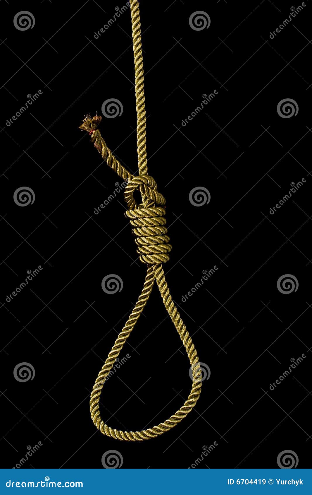 Rope with gallows knot stock image. Image of deadly, criminal - 6704419