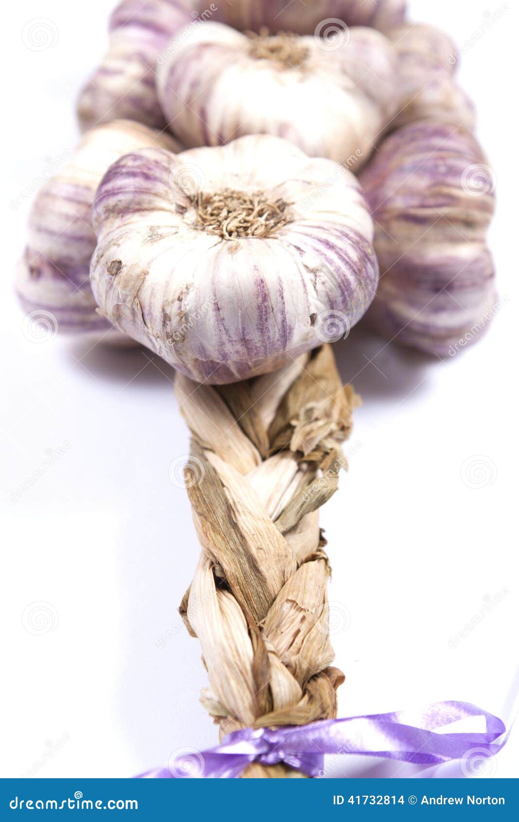 Rope of garlic stock photo. Image of cloves, bulb, skin - 41732814