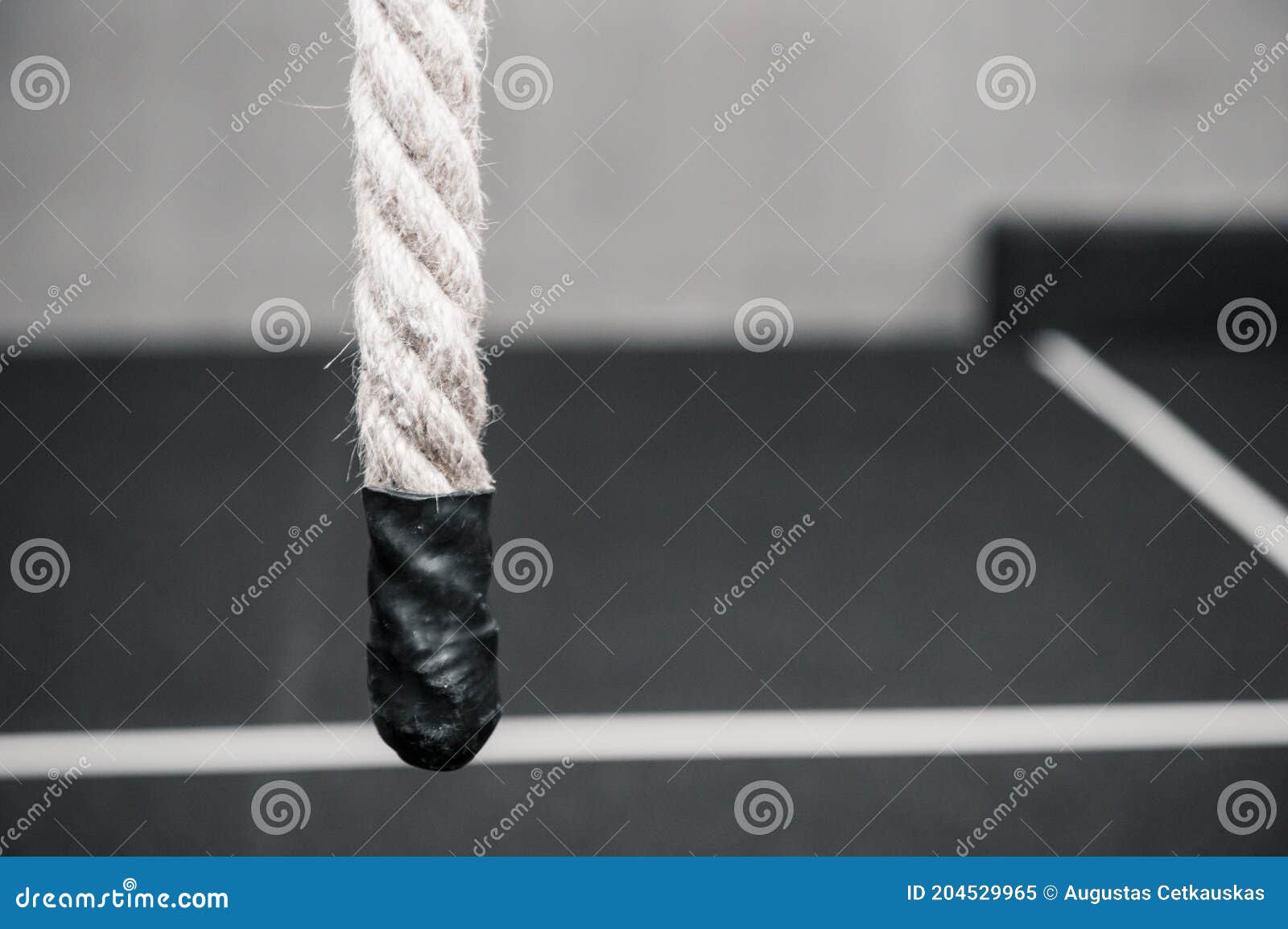 Rope Hanging from the Ceiling in the Gym Stock Image - Image of ...