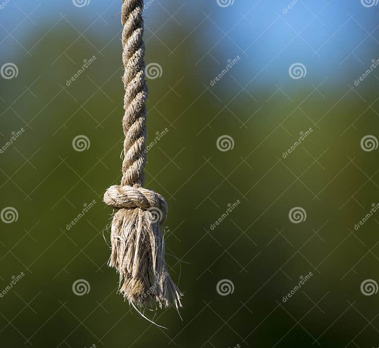 Rope stock image. Image of background, green, object - 40083707