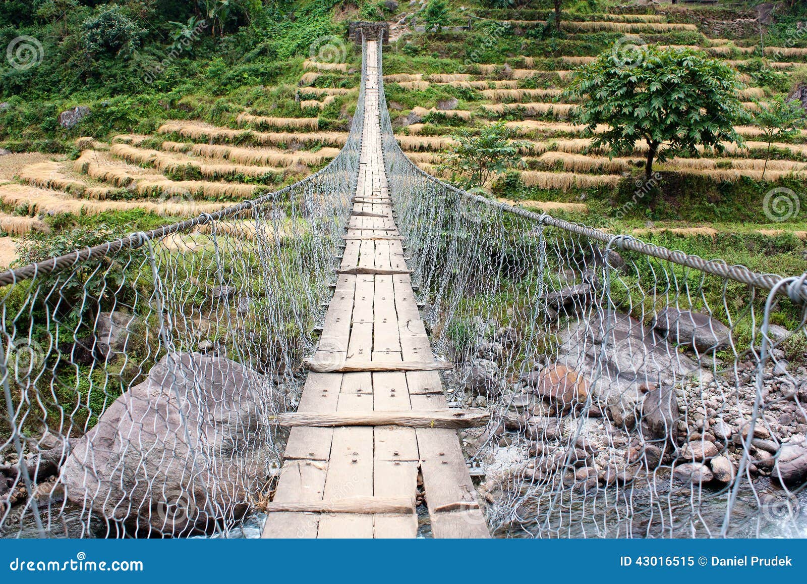 Rope Hanging Suspension Bridge Stock Image - Image of dependent ...