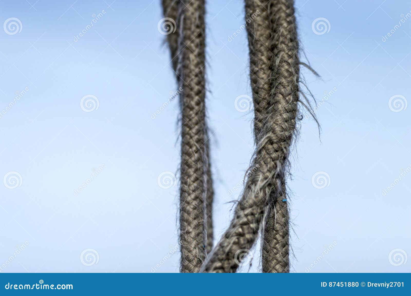 The Rope Hanging from the Tree Texture of the Weave Stock Photo - Image ...
