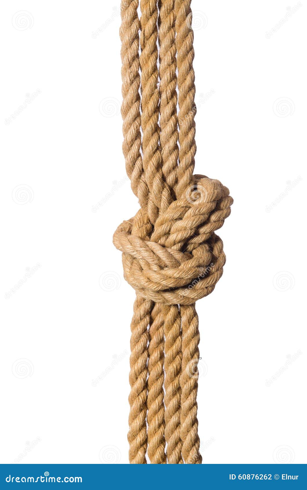 The Rope Isolated on the White Background Stock Photo - Image of knot ...