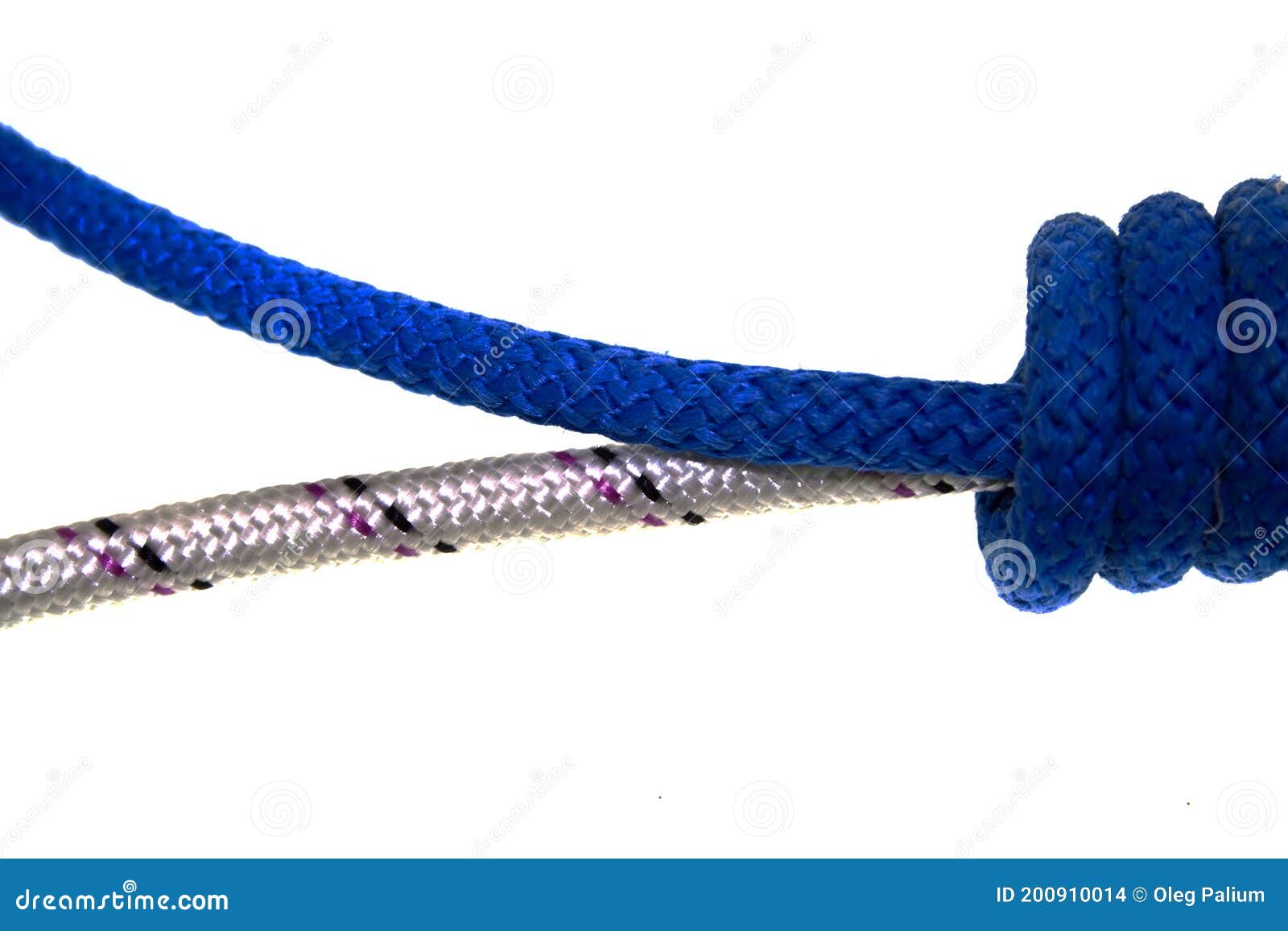 Rope Isolated on White Background Stock Photo - Image of copy ...