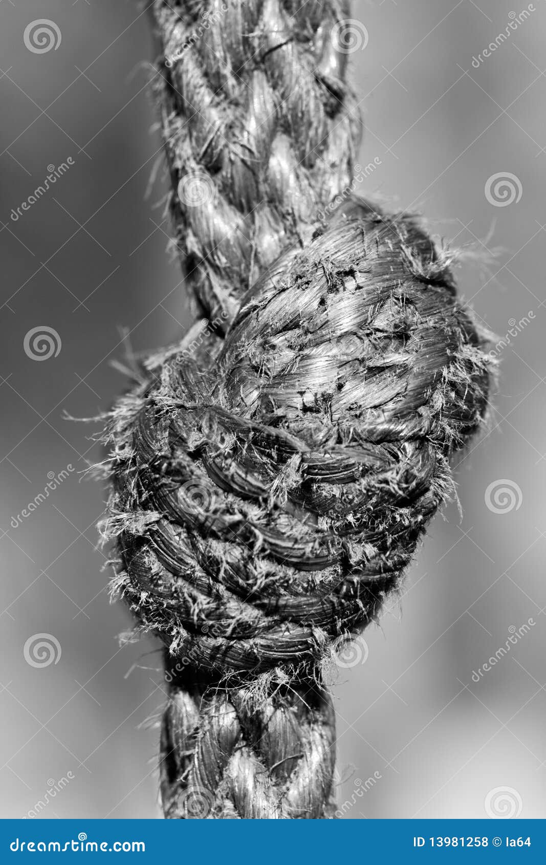Rope Knot Royalty-Free Stock Image | CartoonDealer.com #13981258