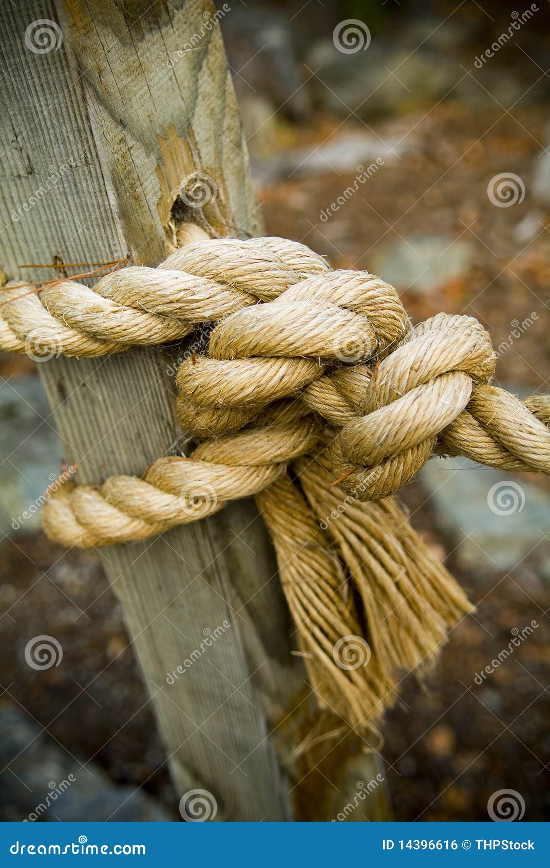 Rope Knot stock photo. Image of join, held, marine, strength - 14396616