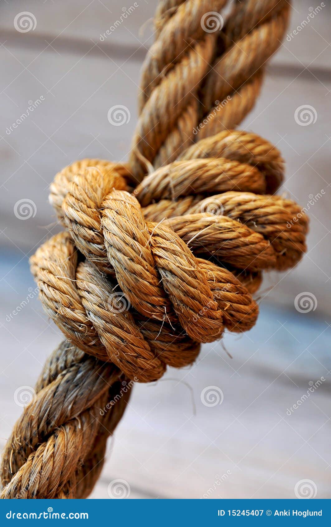 Rope In A Knot Stock Image | CartoonDealer.com #15245407