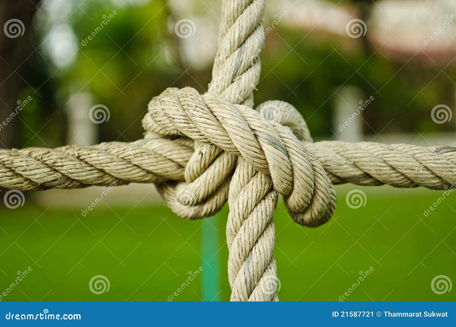 The rope knot stock image. Image of background, scout - 21587721