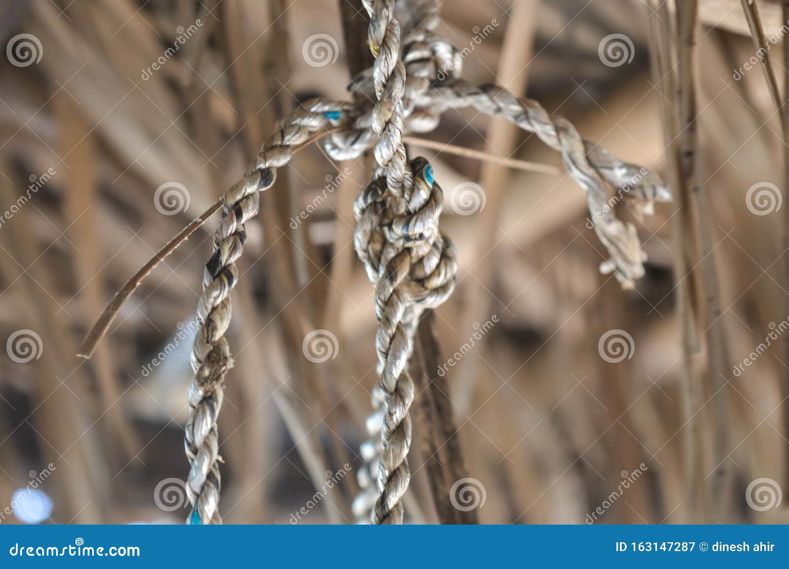 Rope Knot and Beautiful Background,different Rope,White Rope and Other ...