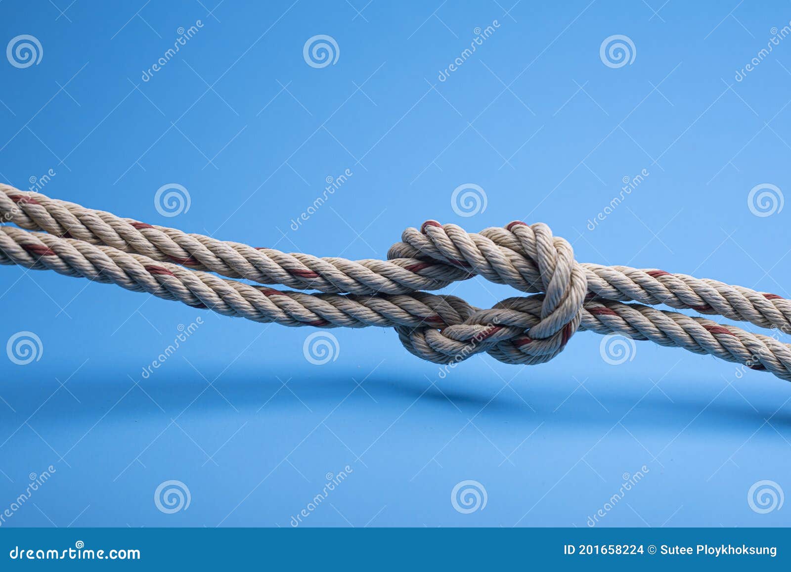Rope with a Knot on Blue Background Stock Photo - Image of curl ...