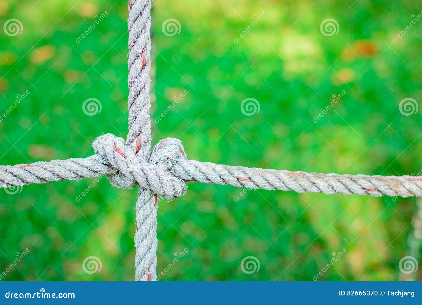 Rope Knot in the Grass Background. Stock Photo - Image of wallpaper ...