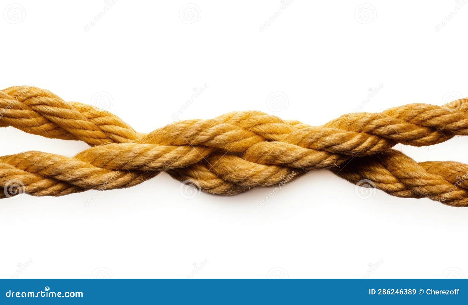 Rope with a knot stock illustration. Illustration of design - 286246389