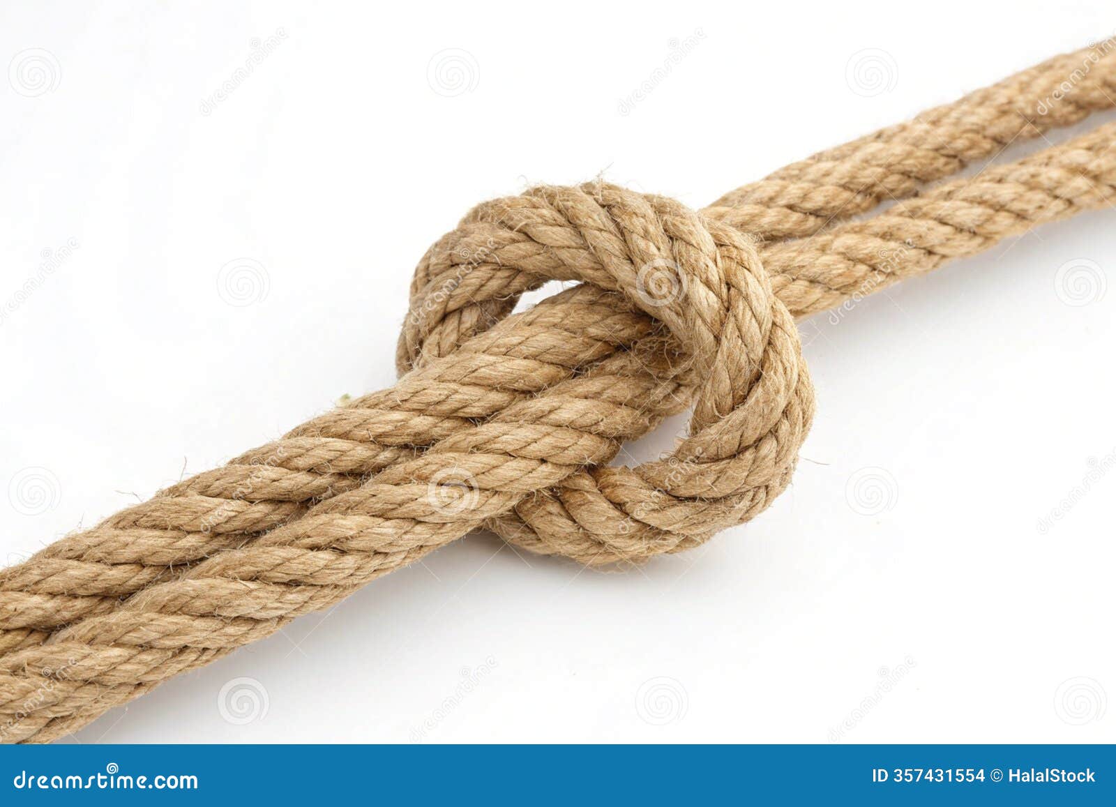 Rope Knot on Isolated White Background Stock Illustration ...