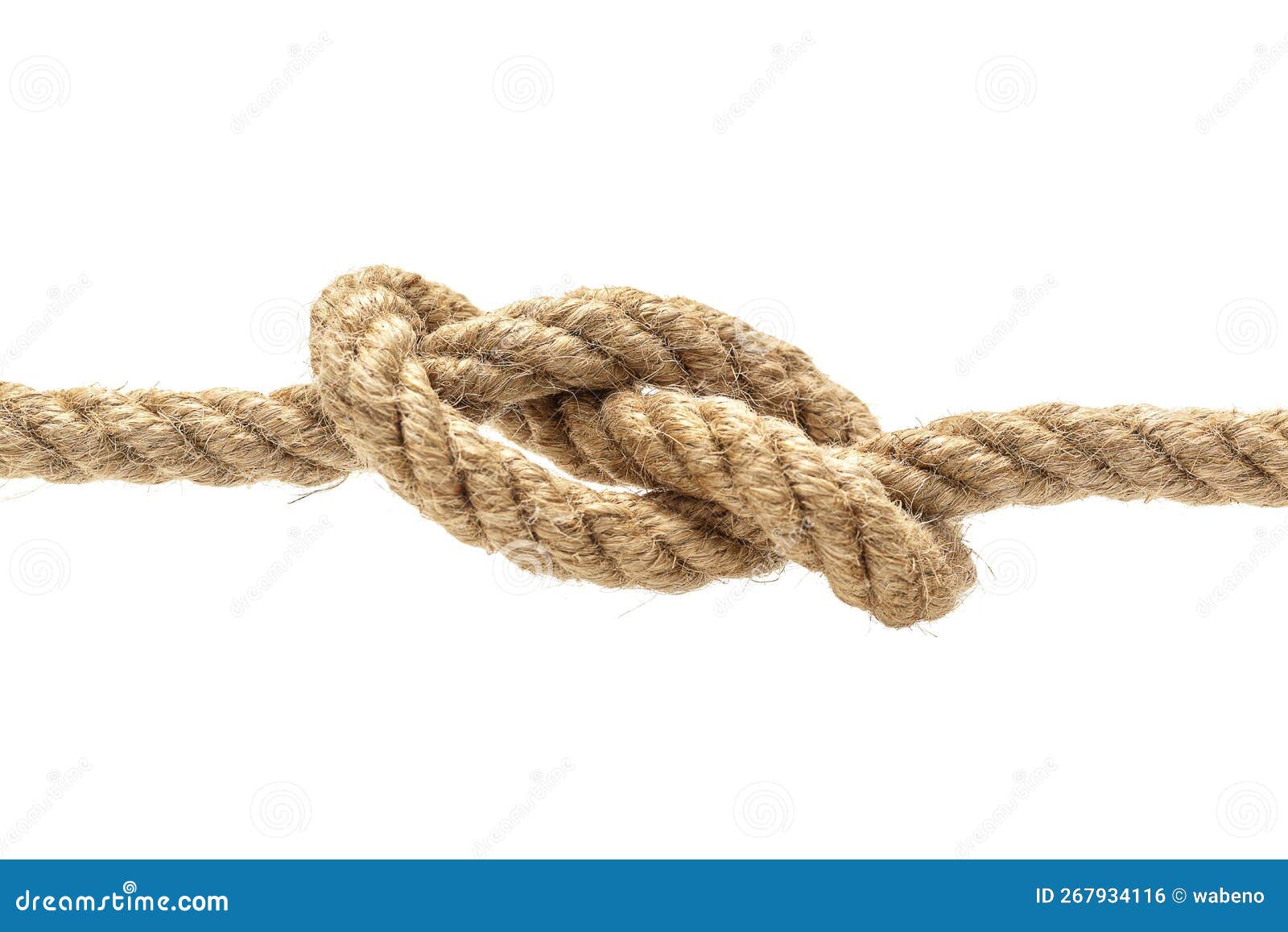 Rope with Knot Isolated on White Stock Photo - Image of marine, knot ...