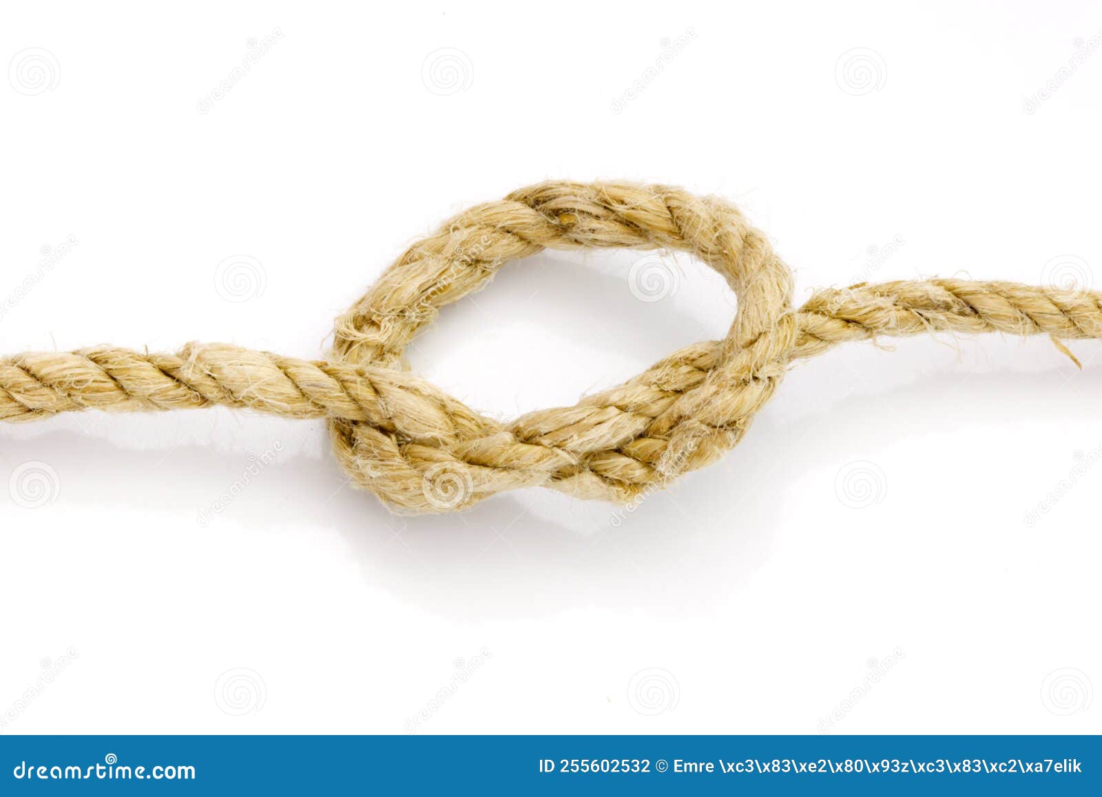 Rope with a Knot on White Background Stock Photo - Image of knot, white ...