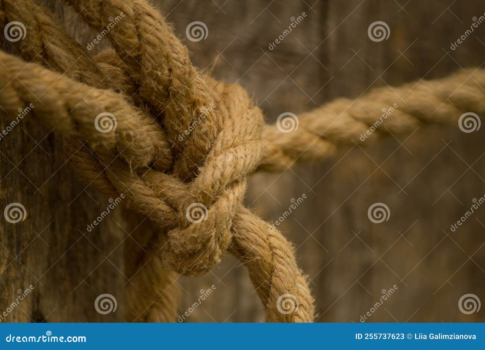 Rope knot on wooden board stock image. Image of texture - 255737623