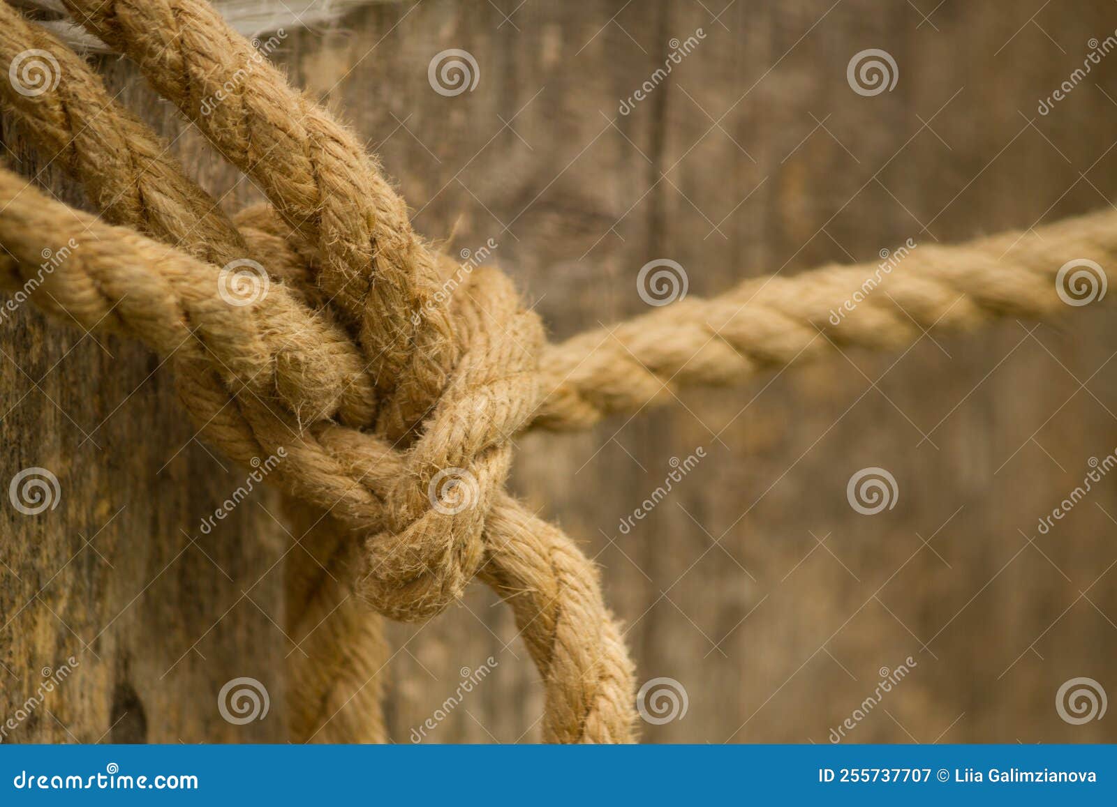 Rope knot on wooden board stock image. Image of rough - 255737707