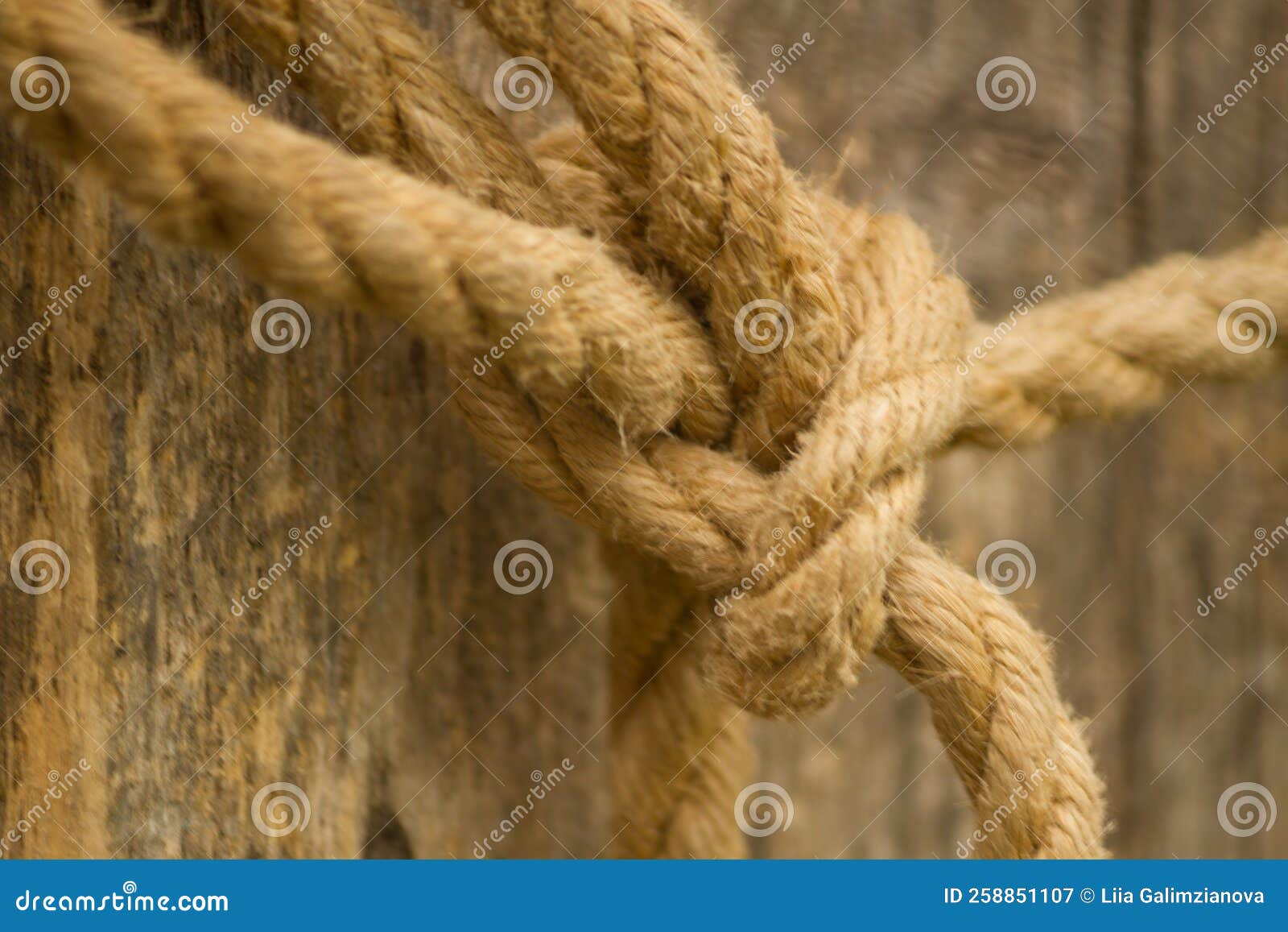 Rope knot on wooden board stock image. Image of rough - 258851107