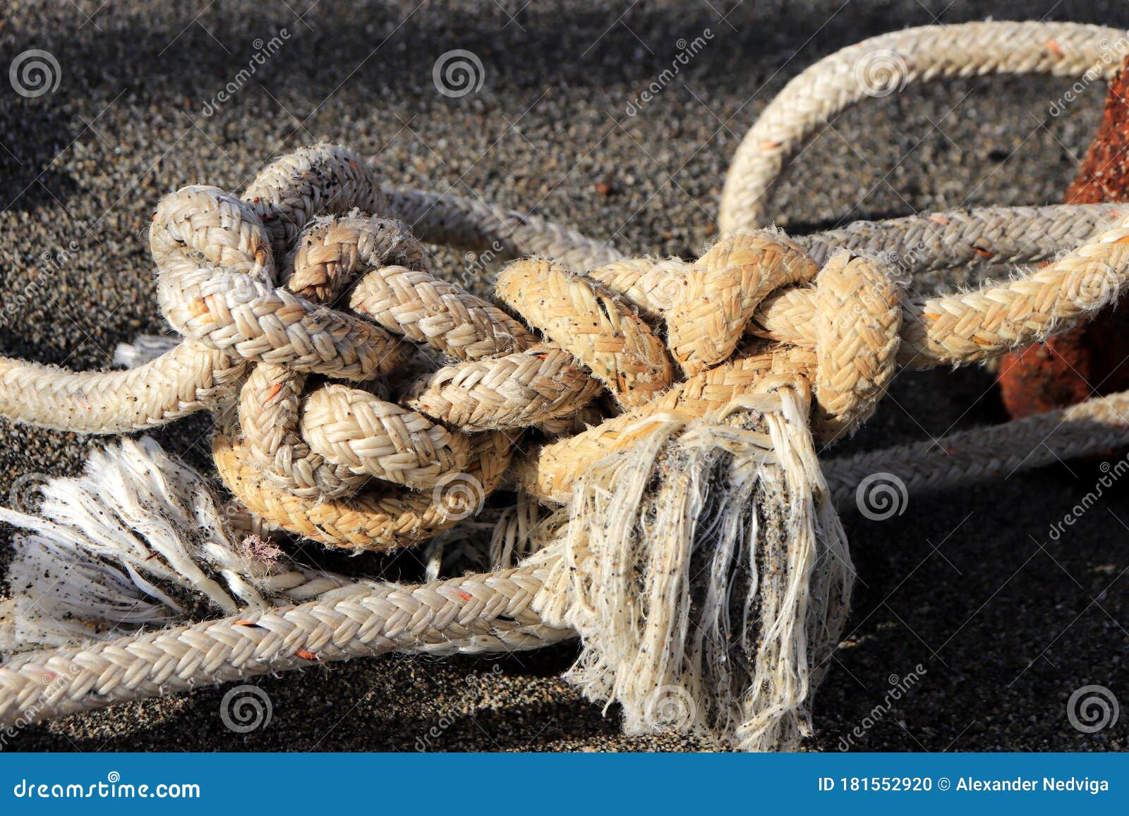 Rope knots on the beach stock photo. Image of rope, coast - 181552920
