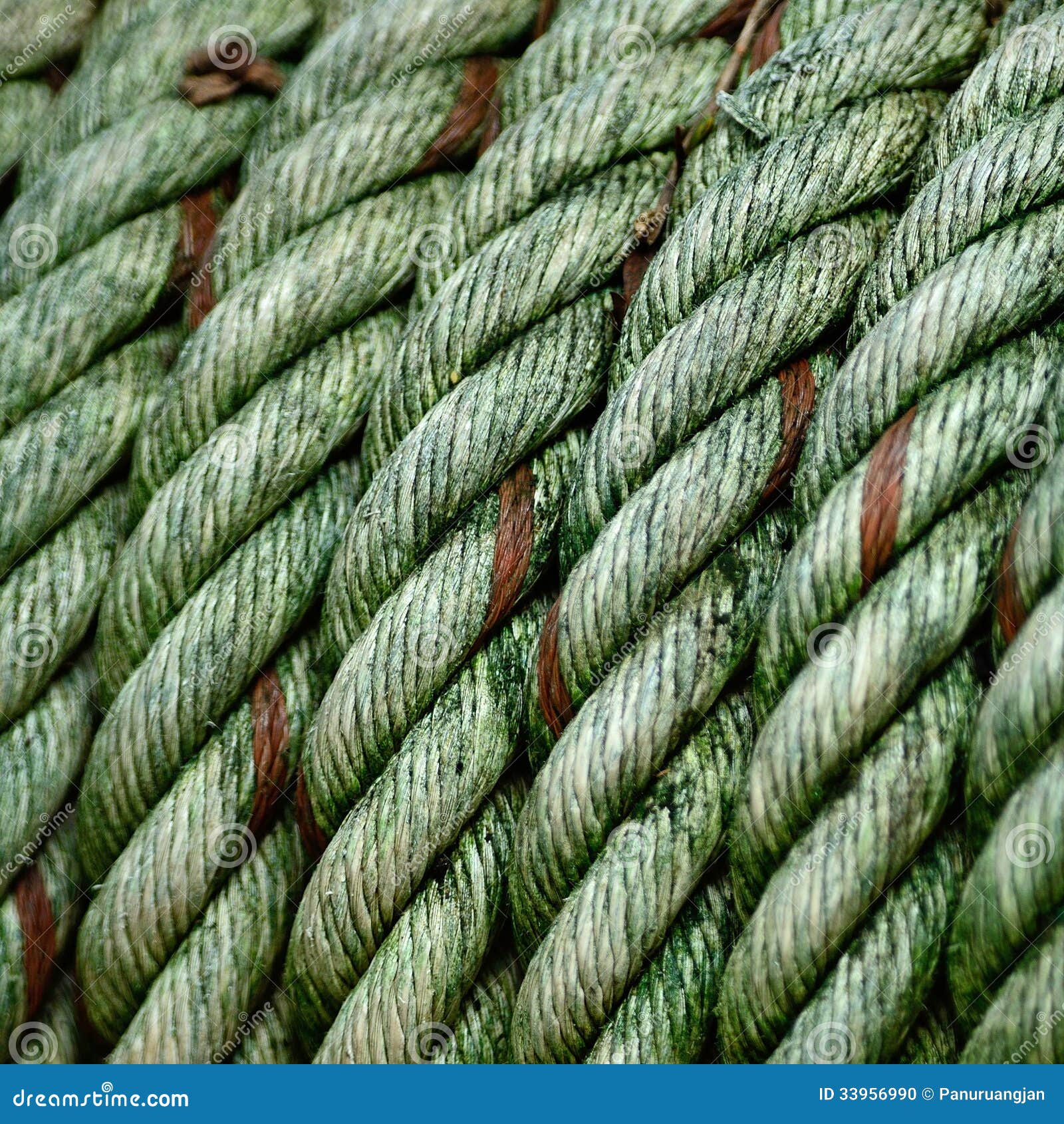 Rope knots stock photo. Image of ropes, tied, knot, letter - 33956990