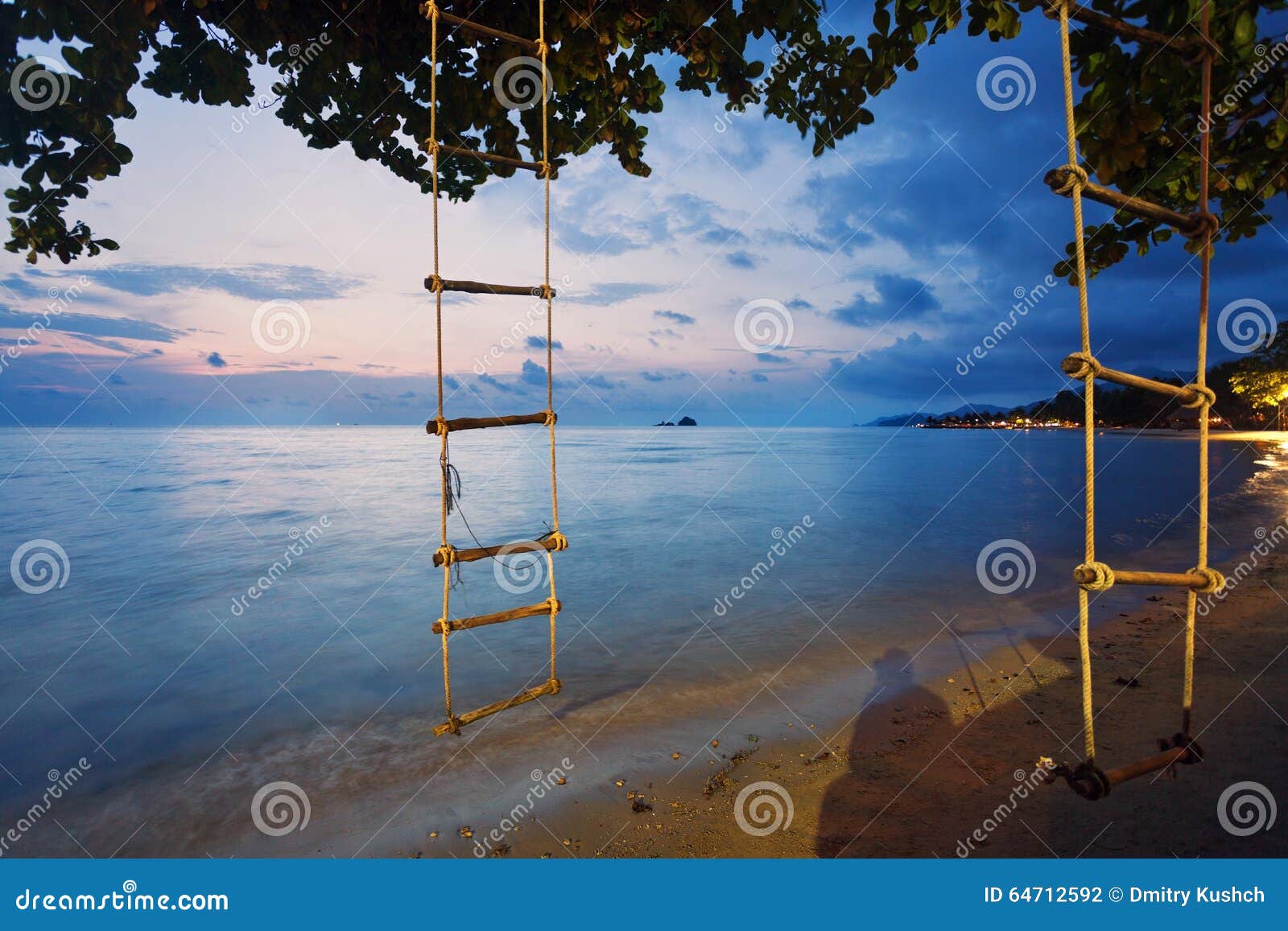 Rope Ladder Hanging from a Tree Stock Photo - Image of rope, nature ...